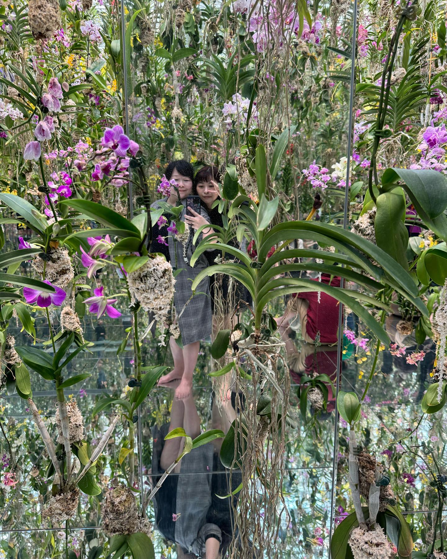 teamLab Planets TOKYO | teamLab / チームラボ