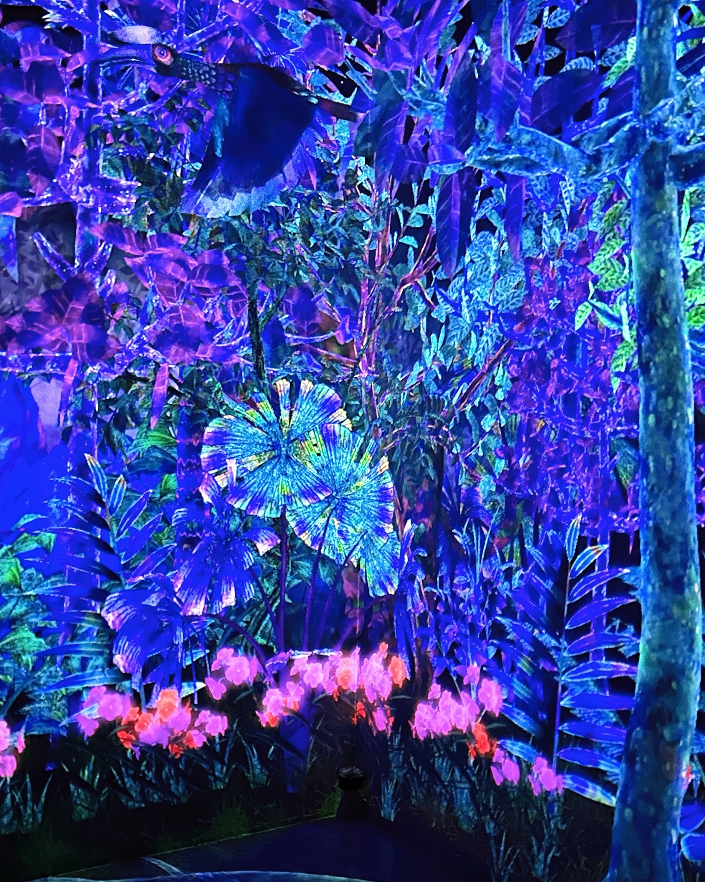 teamLab Planets TOKYO | teamLab / チームラボ