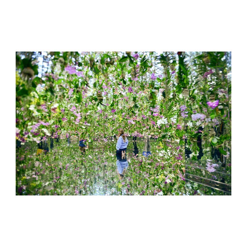 teamLab Planets TOKYO | teamLab / チームラボ