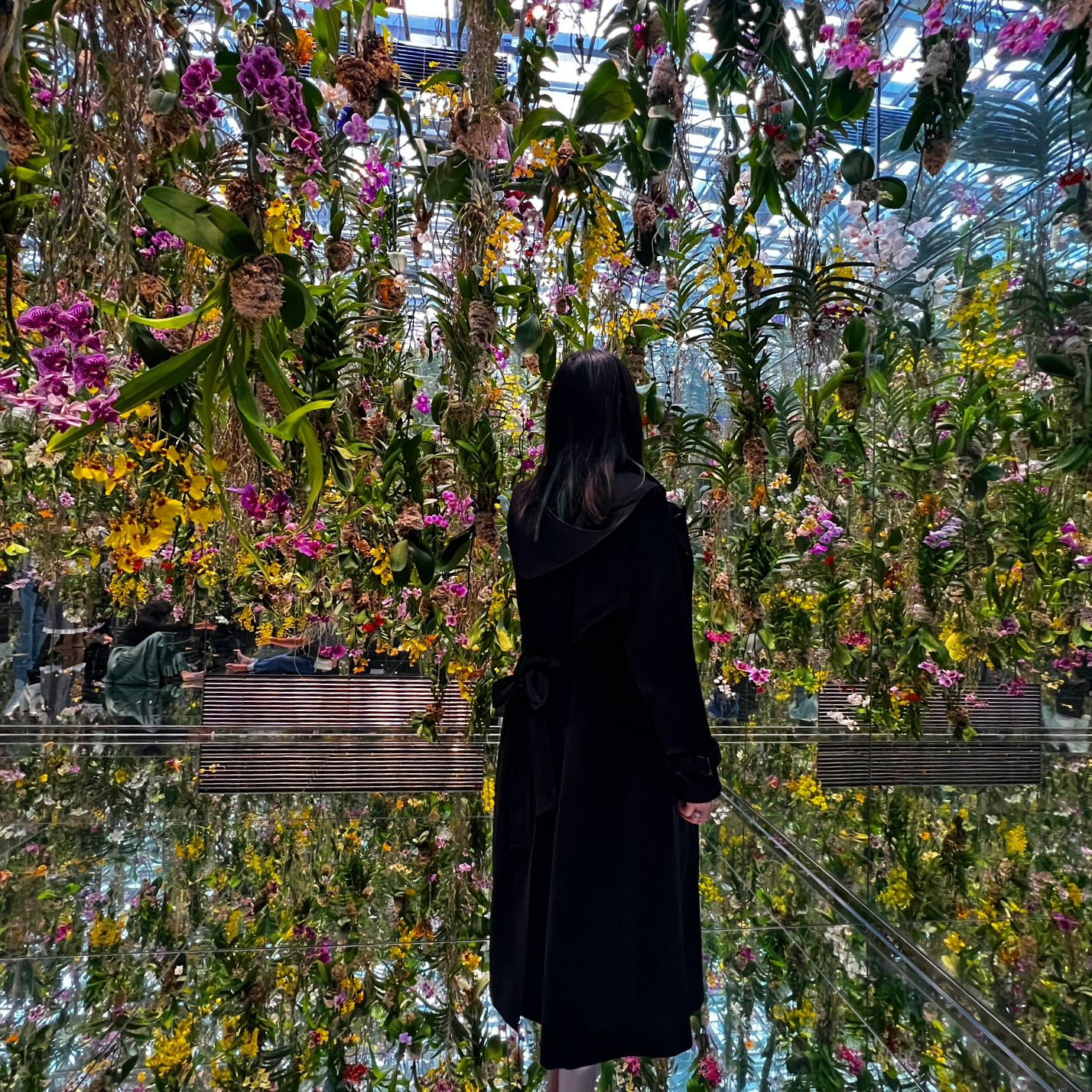 teamLab Planets TOKYO | teamLab / チームラボ