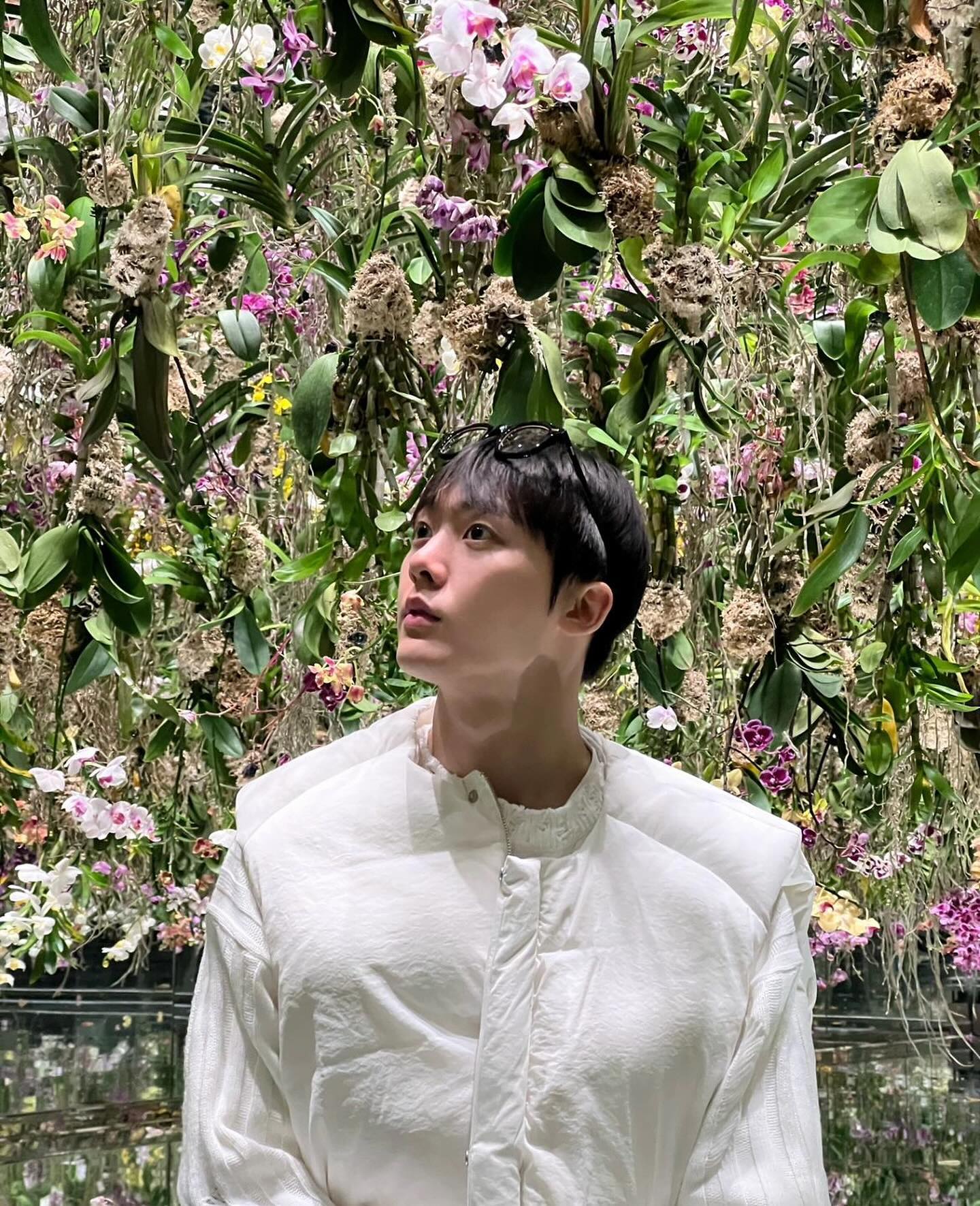 [Official] teamLab Planets TOKYO, Toyosu