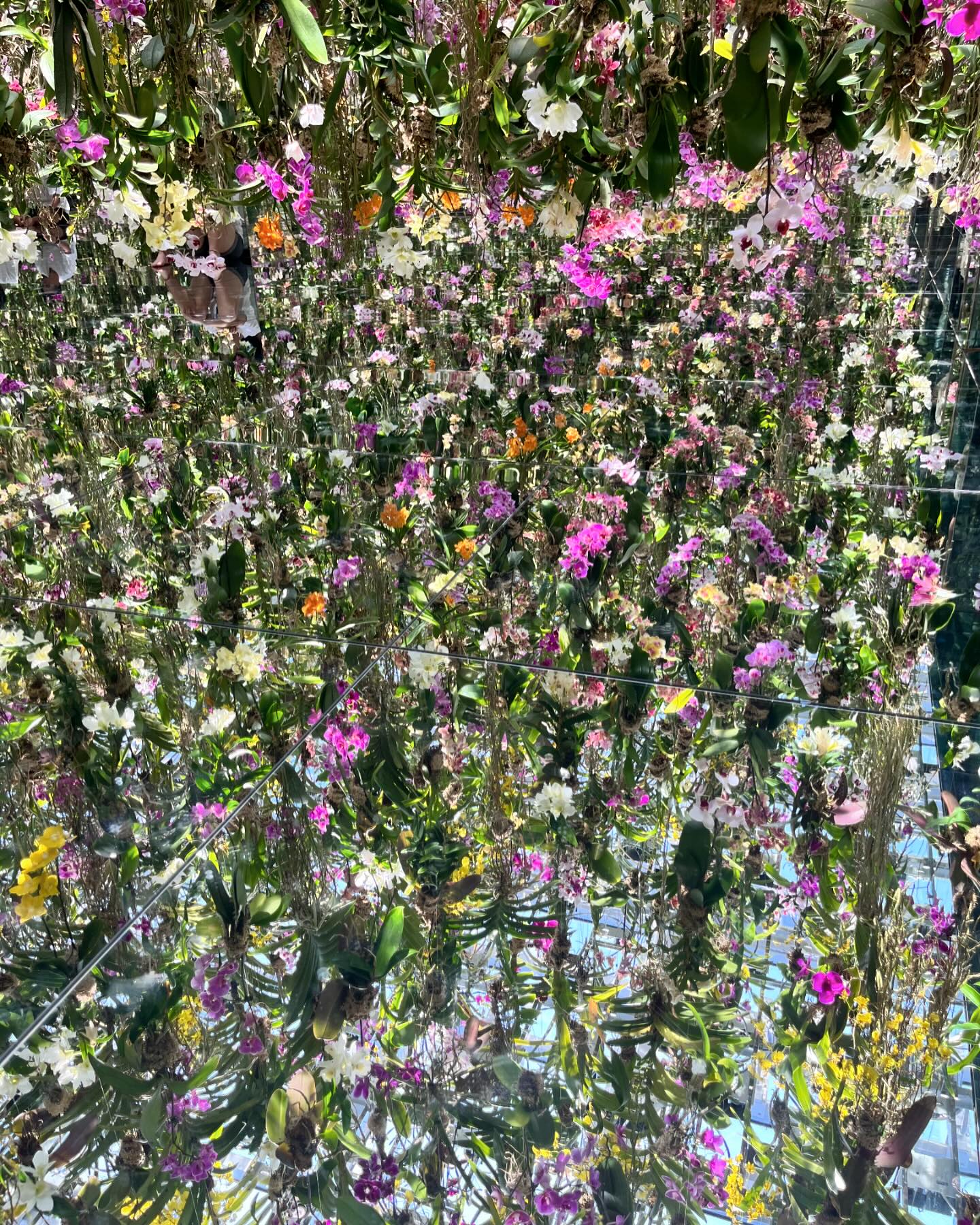 [Official] teamLab Planets TOKYO, Toyosu