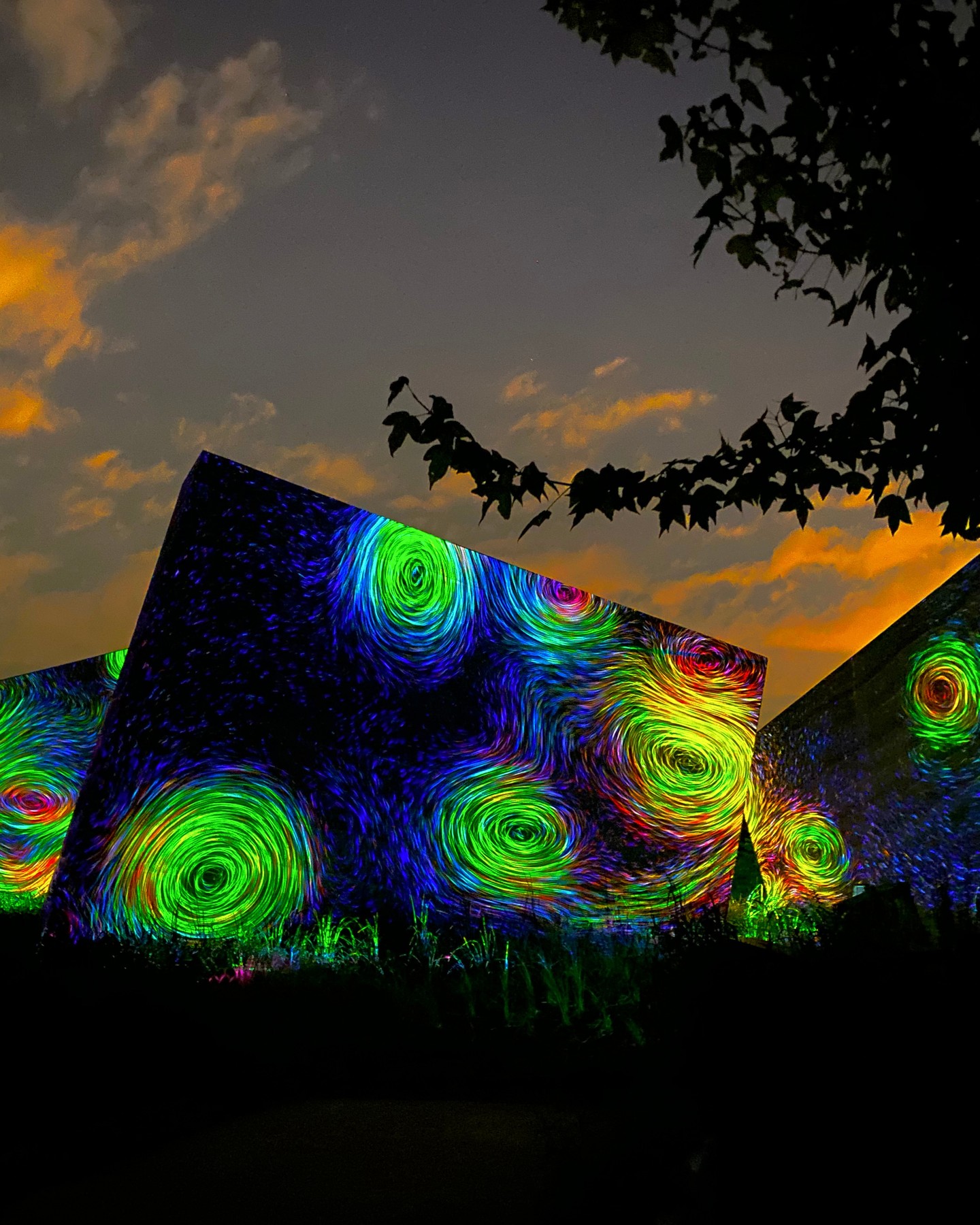 teamLab Botanical Garden Osaka | teamLab