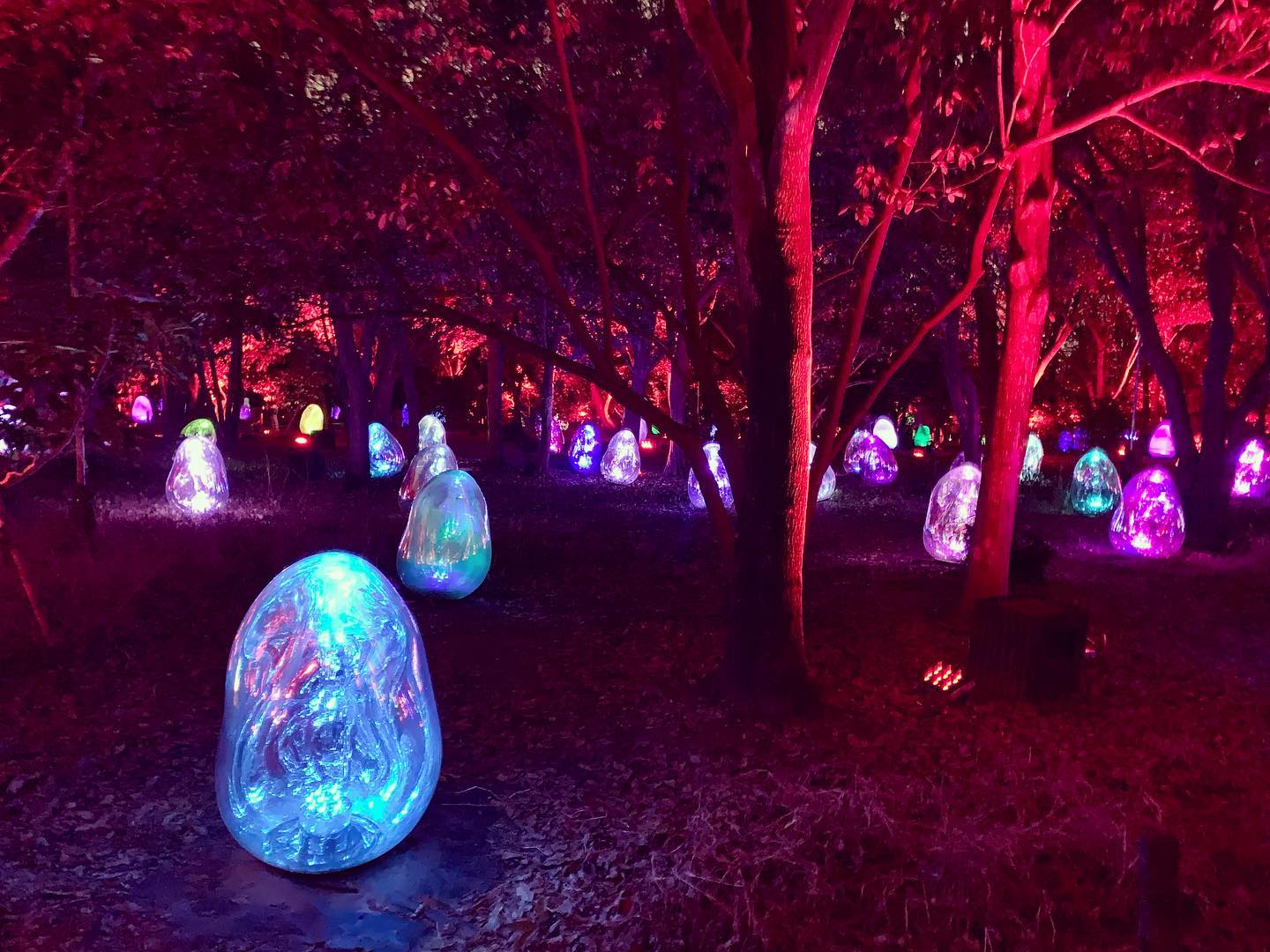 teamLab Botanical Garden Osaka | teamLab