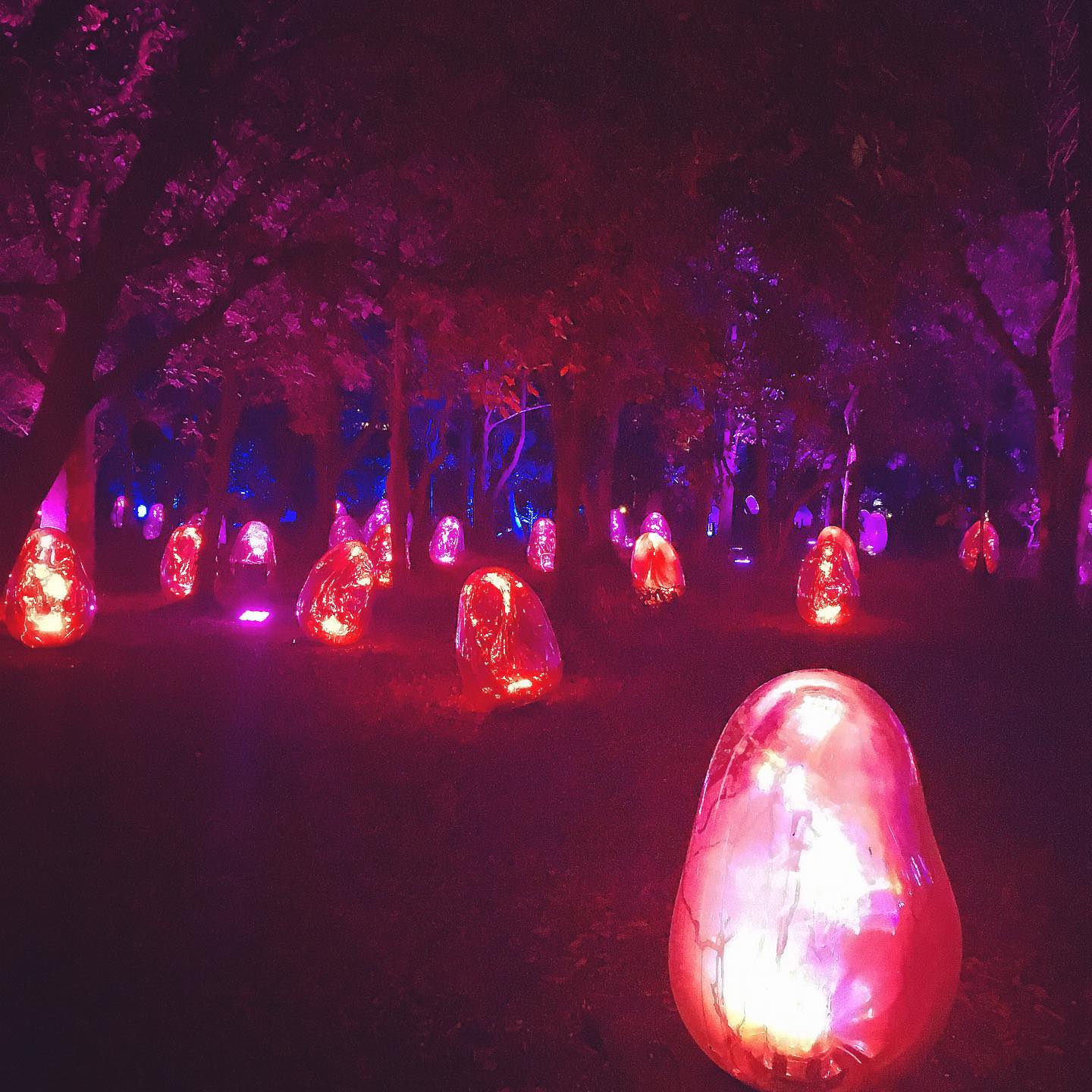 teamLab Botanical Garden Osaka | teamLab