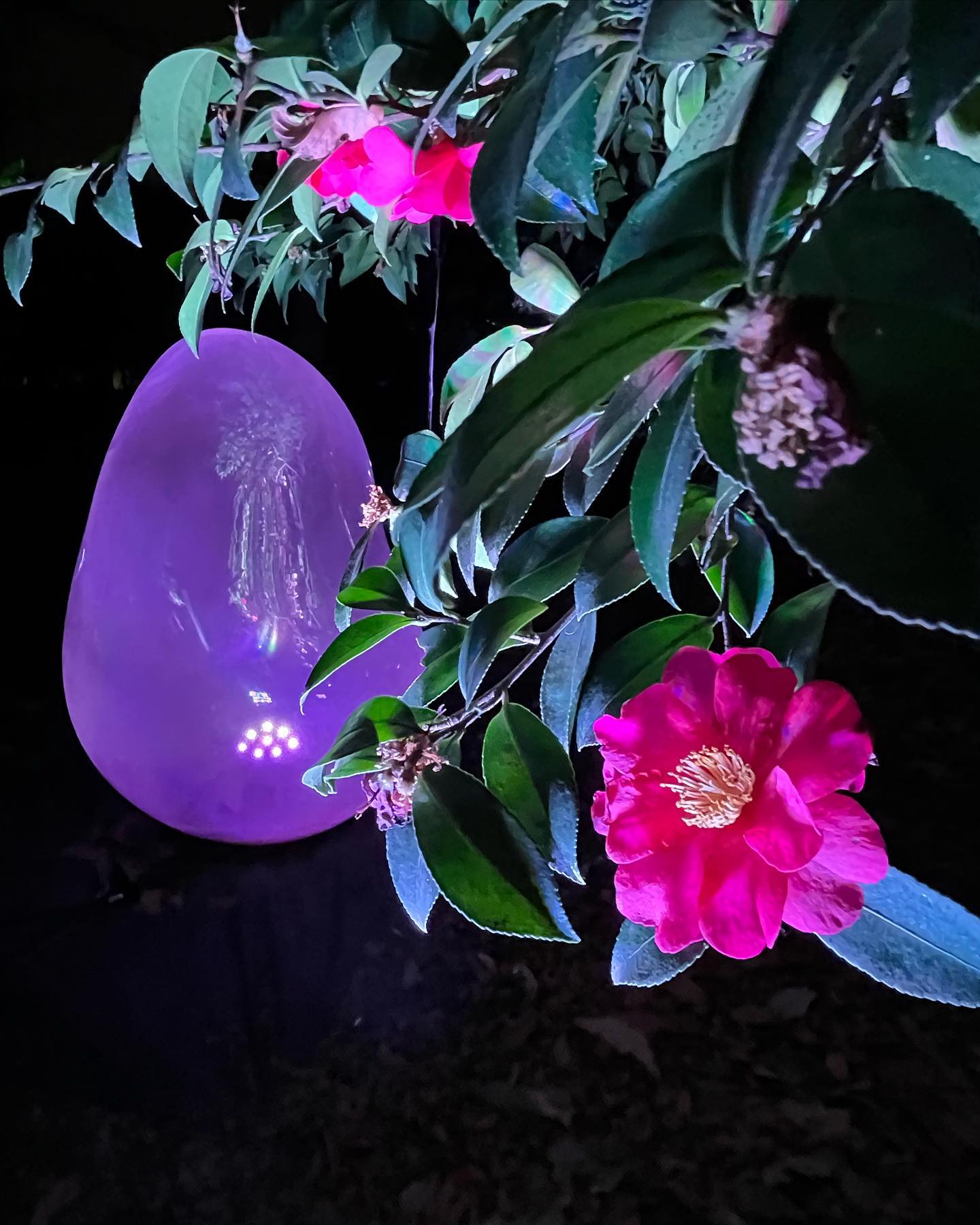 teamLab Botanical Garden Osaka | teamLab