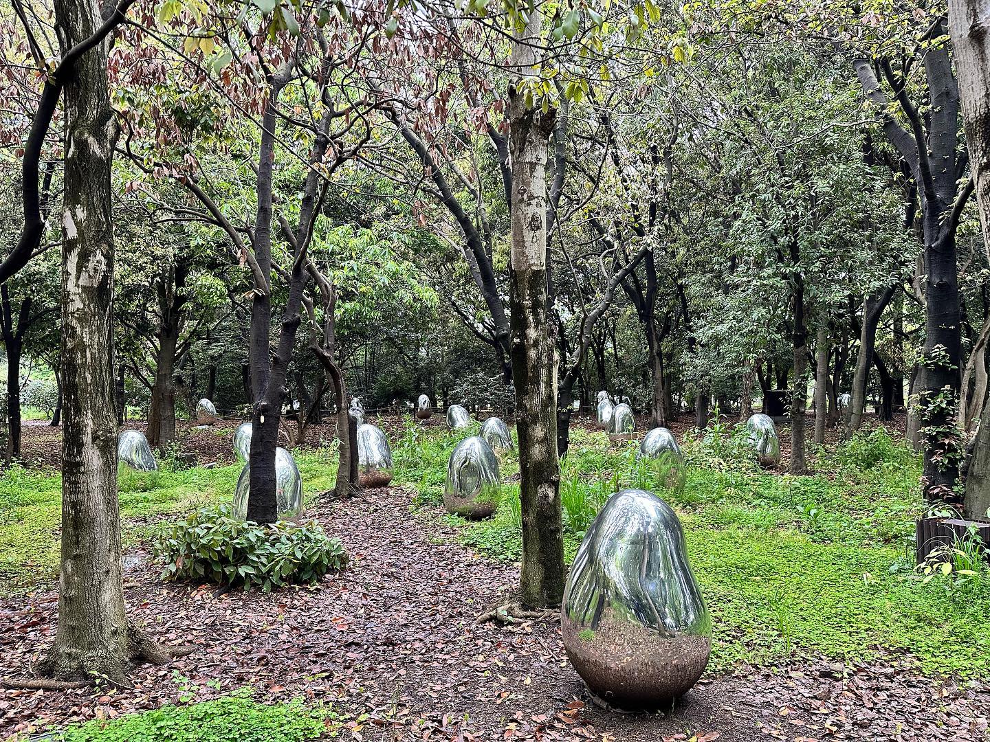 teamLab Botanical Garden Osaka | teamLab
