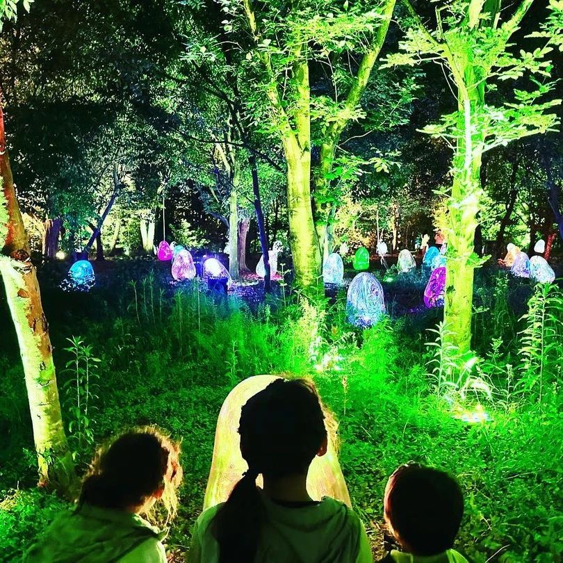 teamLab Botanical Garden Osaka | teamLab