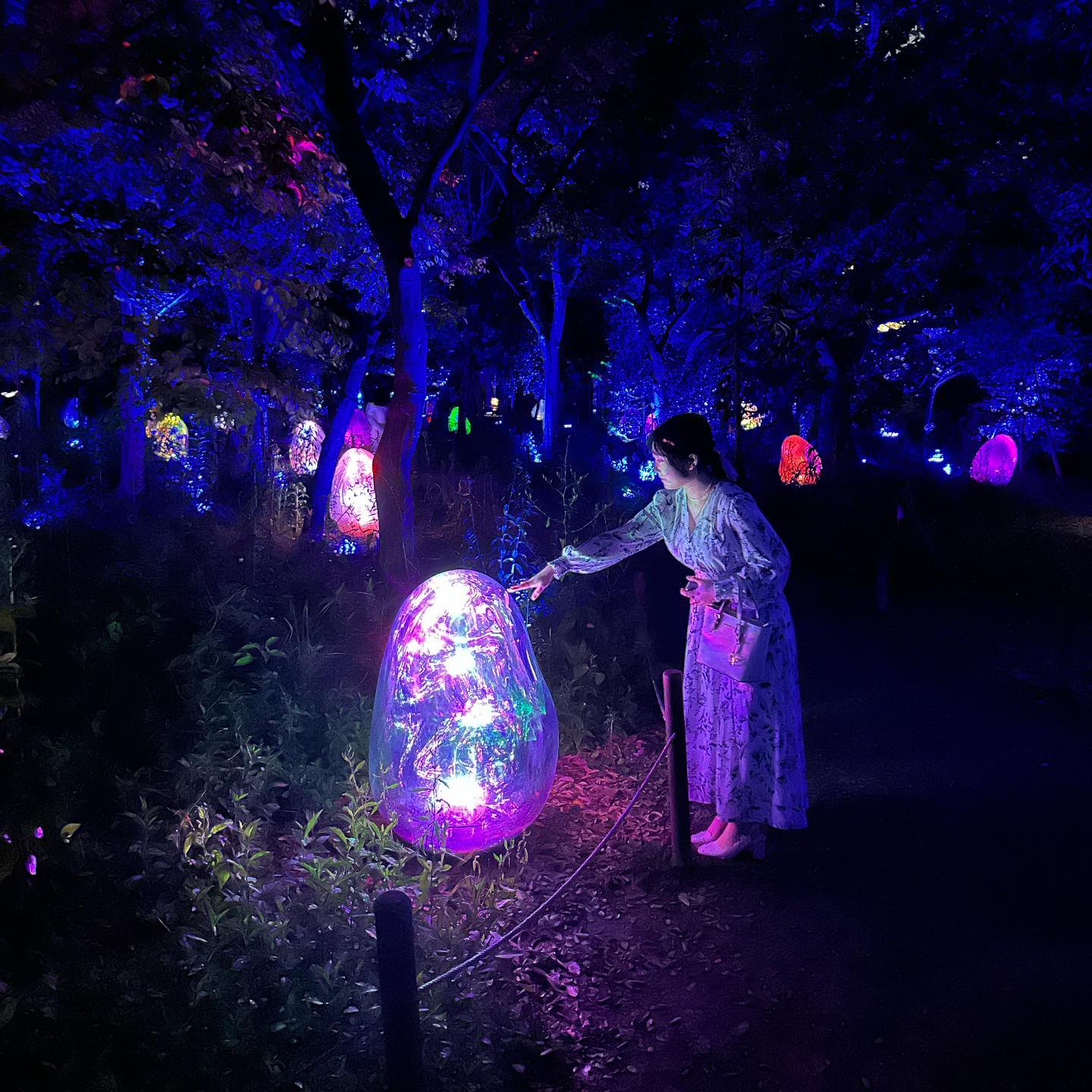 teamLab Botanical Garden Osaka | teamLab