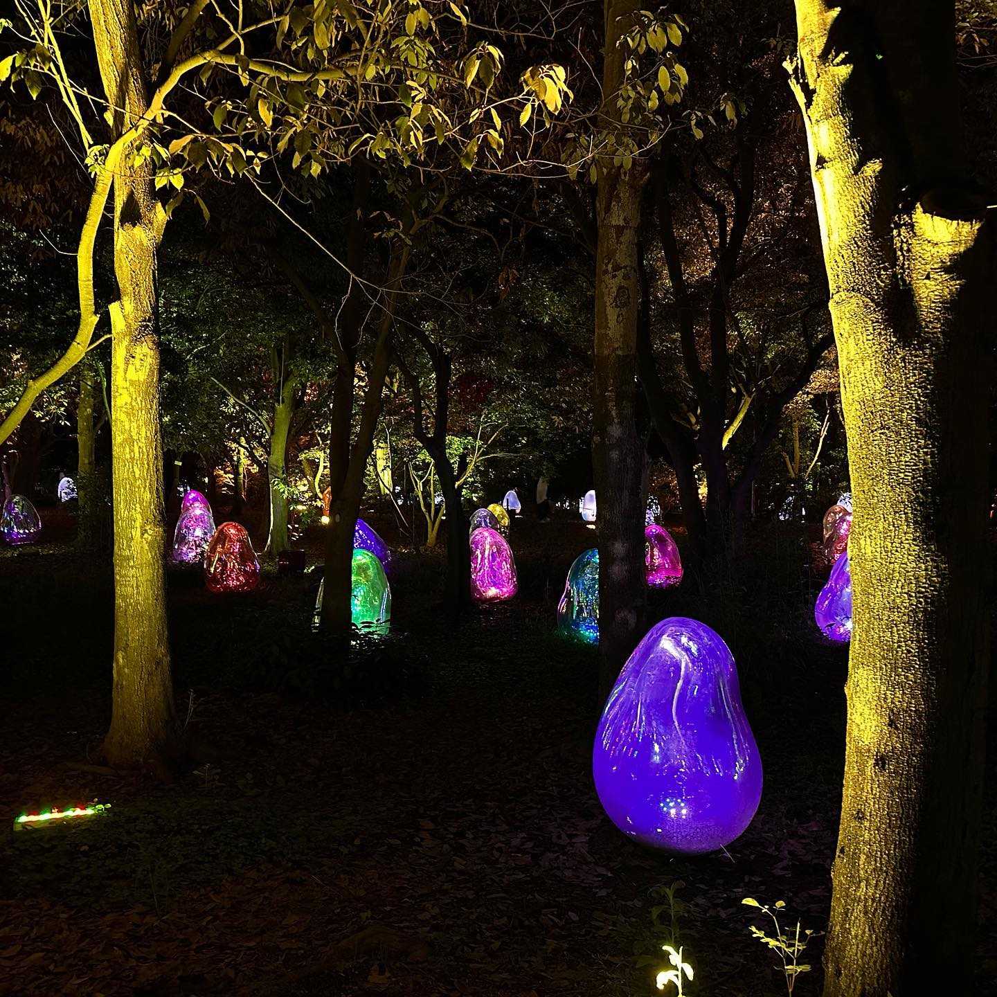 teamLab Botanical Garden Osaka | teamLab