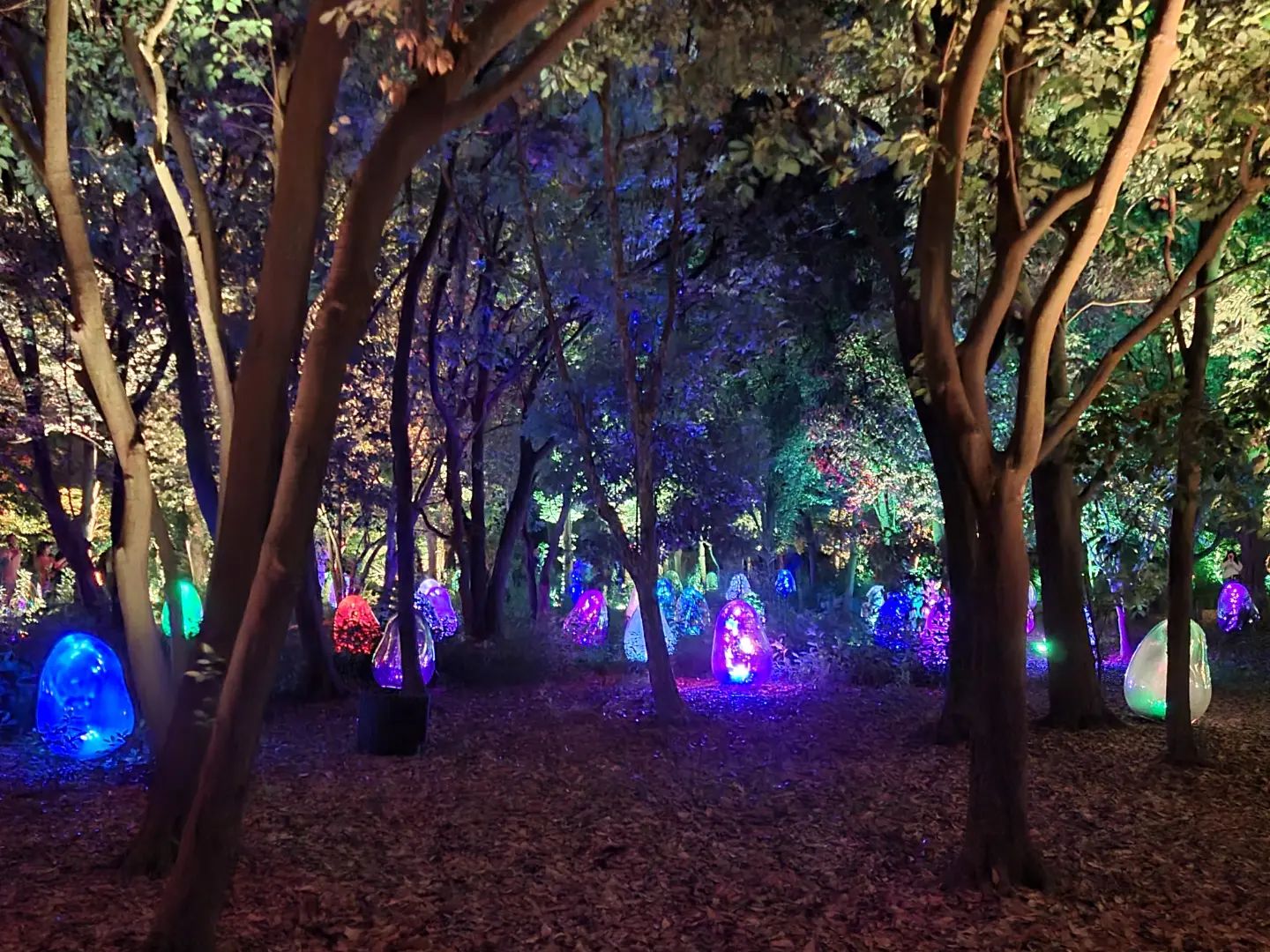 teamLab Botanical Garden Osaka | teamLab