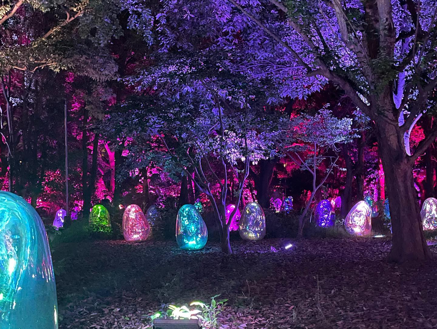 teamLab Botanical Garden Osaka | teamLab