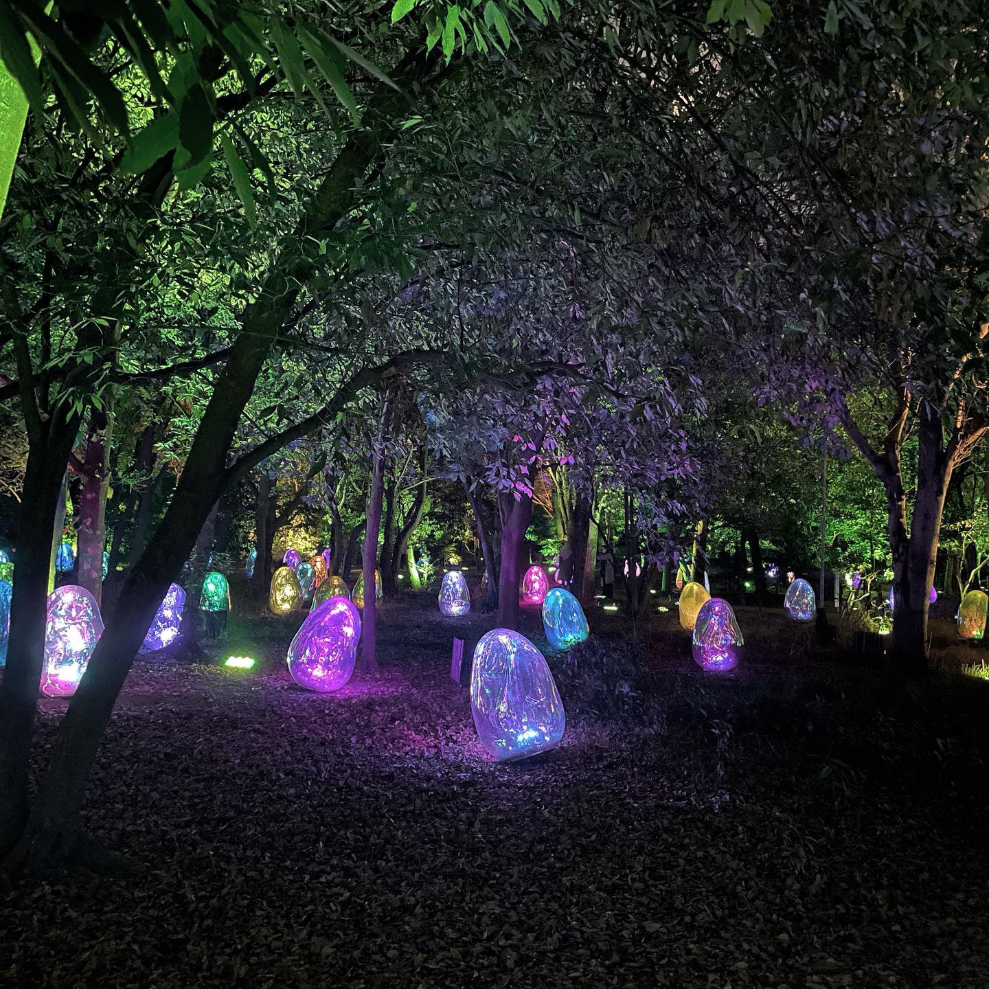 teamLab Botanical Garden Osaka | teamLab