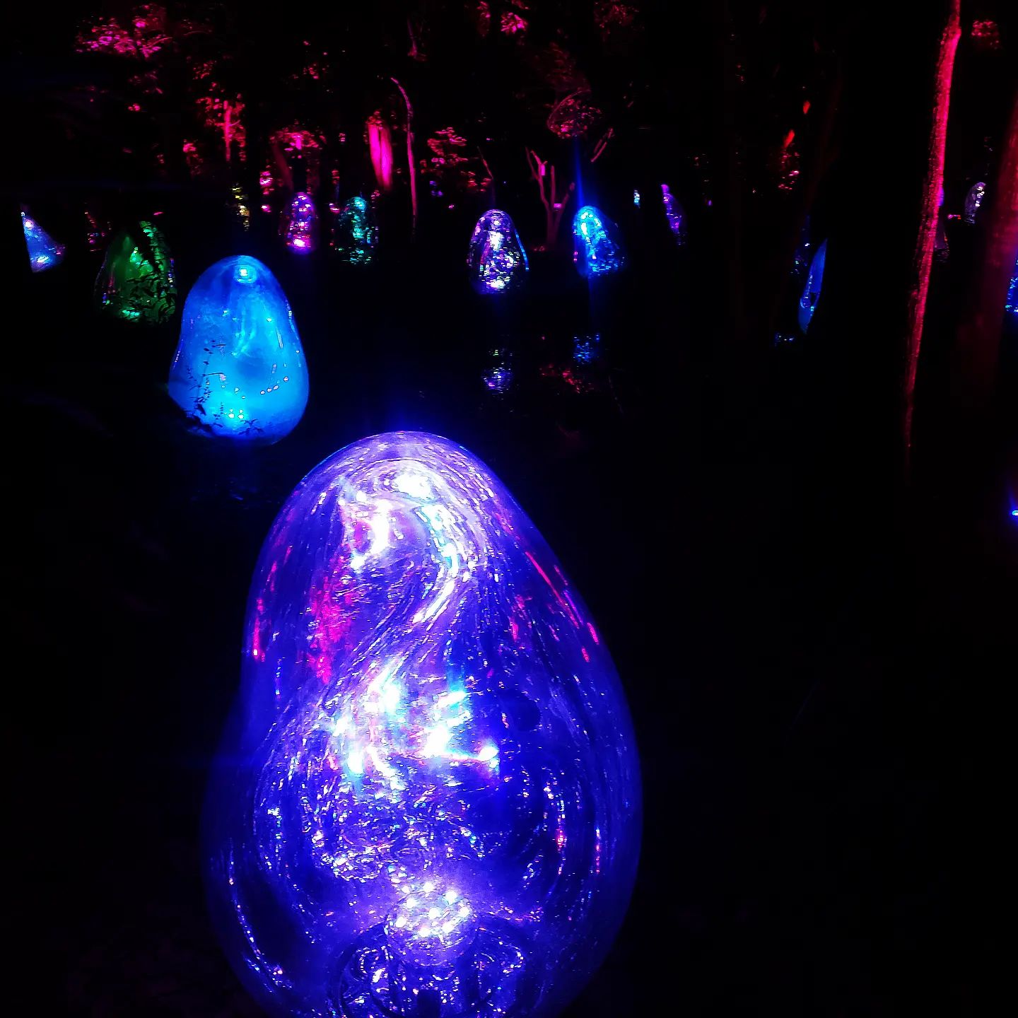 teamLab Botanical Garden Osaka | teamLab