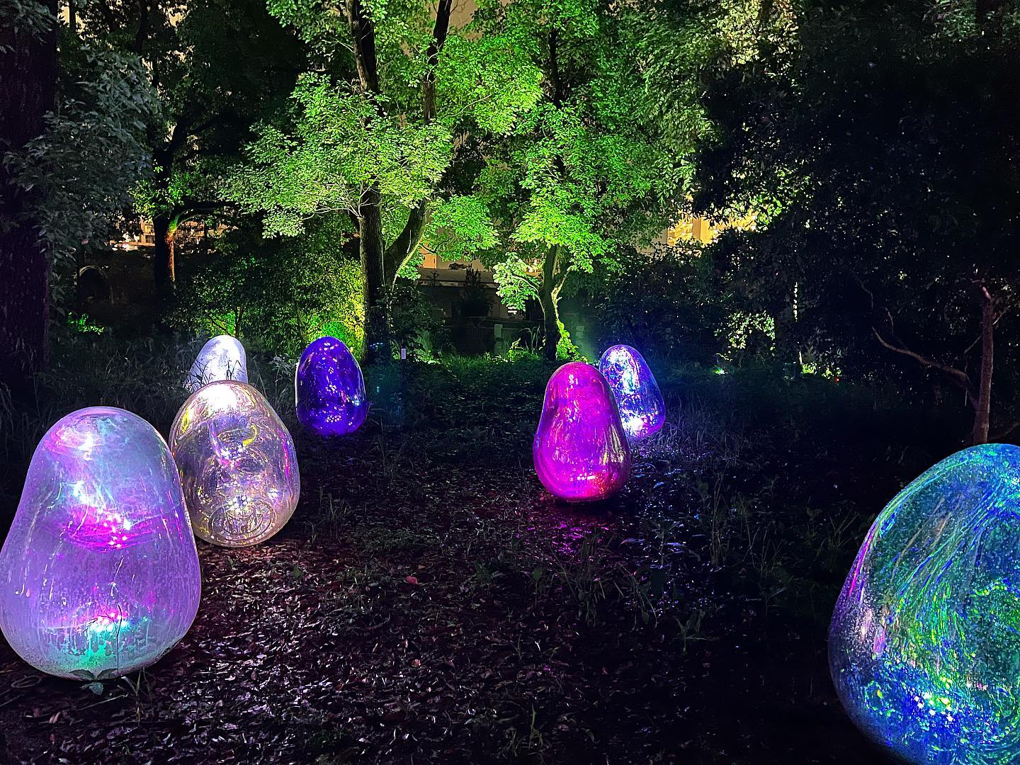 teamLab Botanical Garden Osaka | teamLab