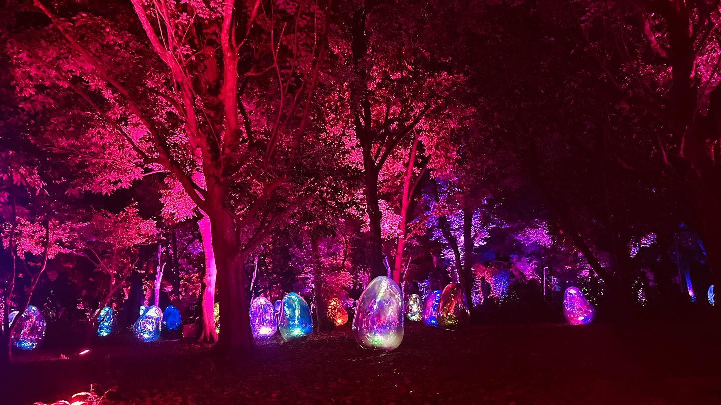 [Official] teamLab Botanical Garden Osaka | teamLab Night Open-Air Museum
