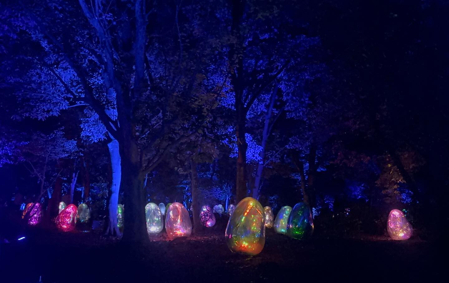 [Official] teamLab Botanical Garden Osaka | teamLab Night Open-Air Museum