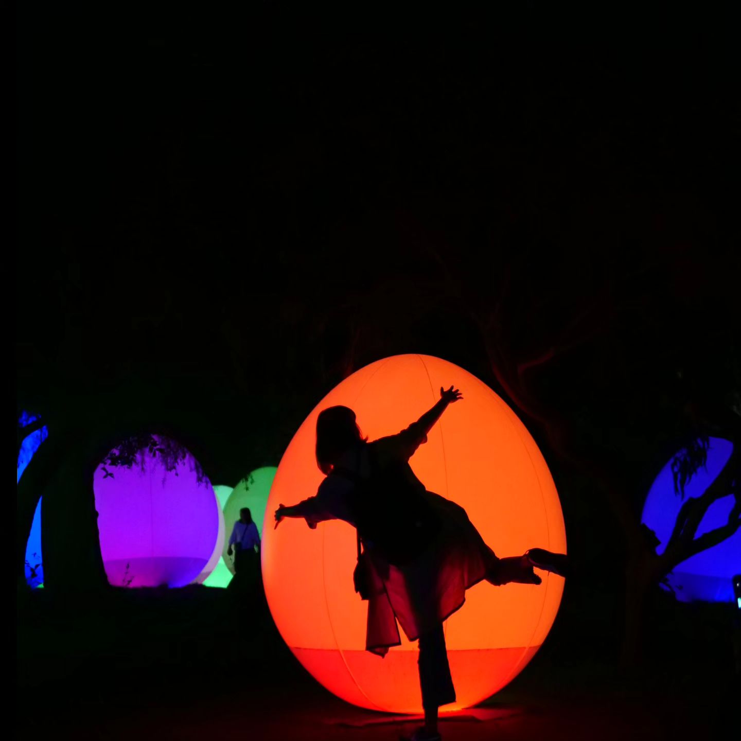 [Official] teamLab Botanical Garden Osaka | teamLab Night Open-Air Museum