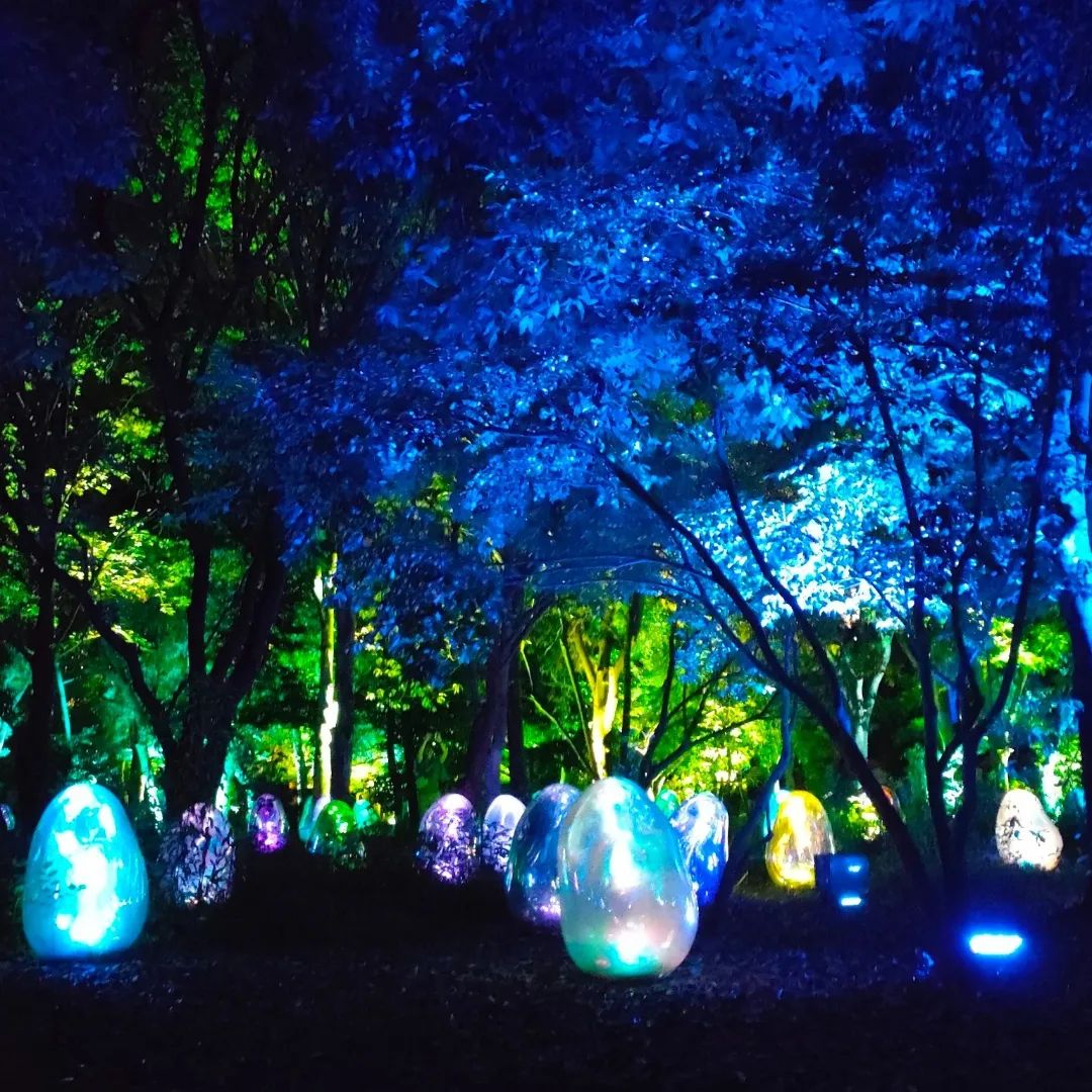 [Official] teamLab Botanical Garden Osaka | teamLab Night Open-Air Museum