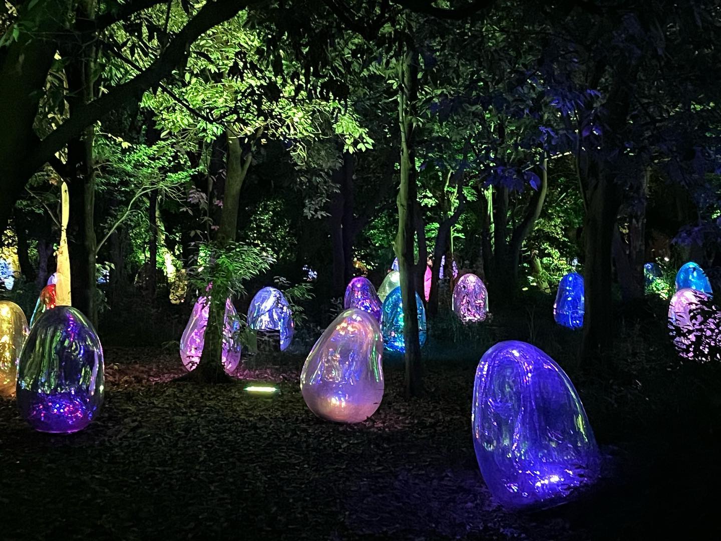 [Official] teamLab Botanical Garden Osaka | teamLab Night Open-Air Museum