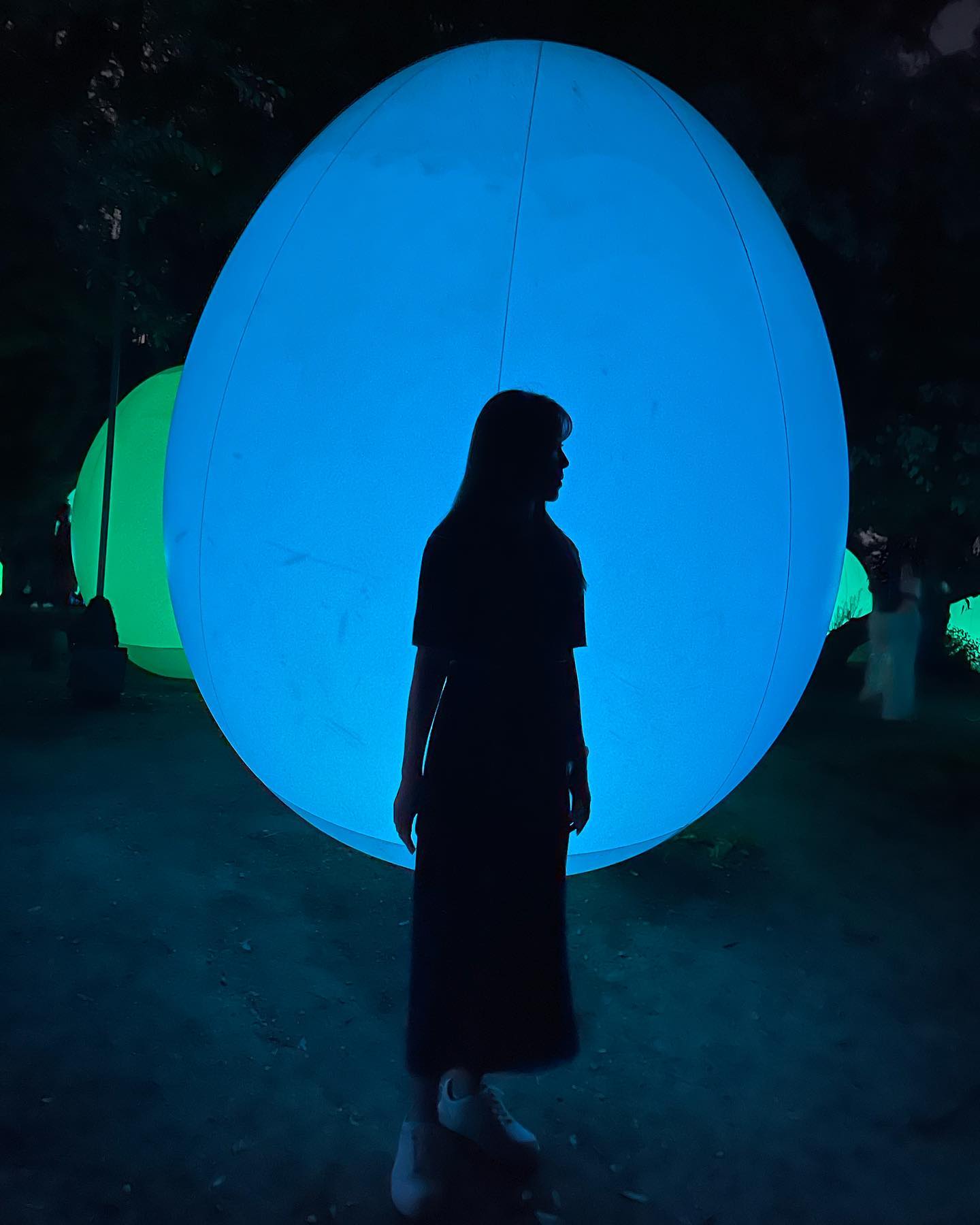 [Official] teamLab Botanical Garden Osaka | teamLab Night Open-Air Museum