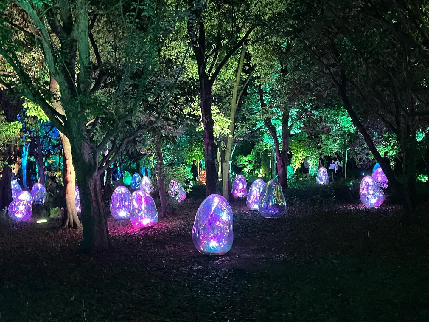 [Official] teamLab Botanical Garden Osaka | teamLab Night Open-Air Museum