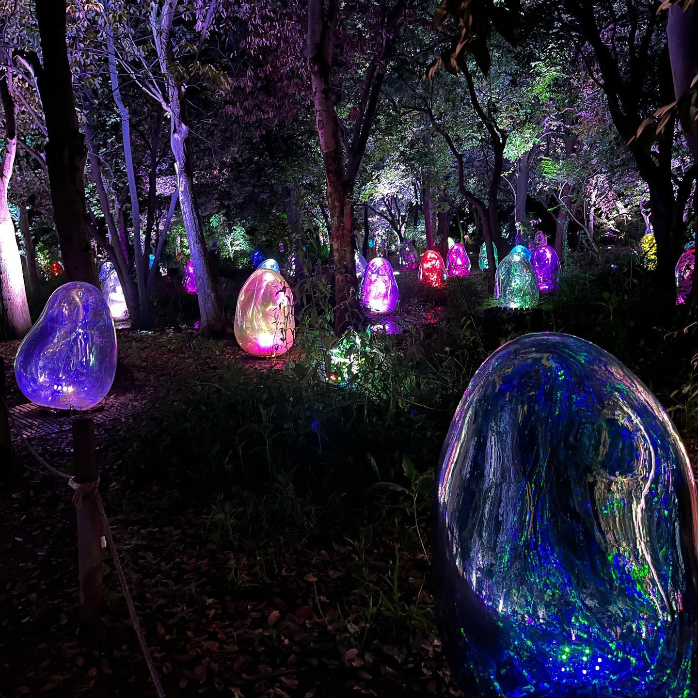 teamLab Botanical Garden Osaka | teamLab