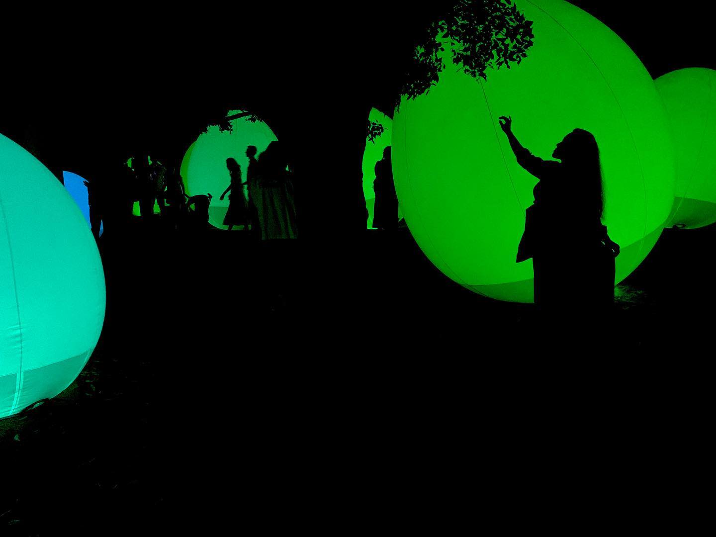 [Official] teamLab Botanical Garden Osaka | teamLab Night Open-Air Museum