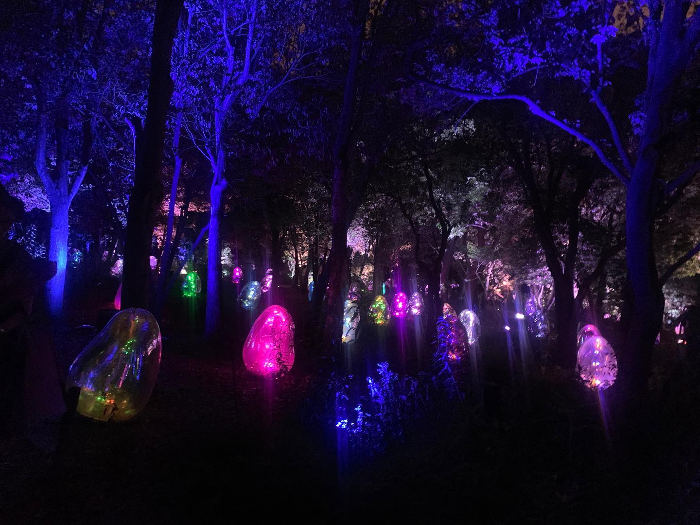 teamLab Botanical Garden Osaka | teamLab