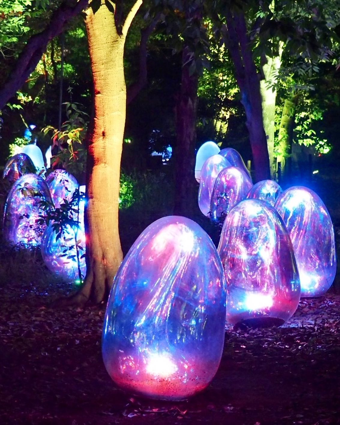 [Official] teamLab Botanical Garden Osaka | teamLab Night Open-Air Museum