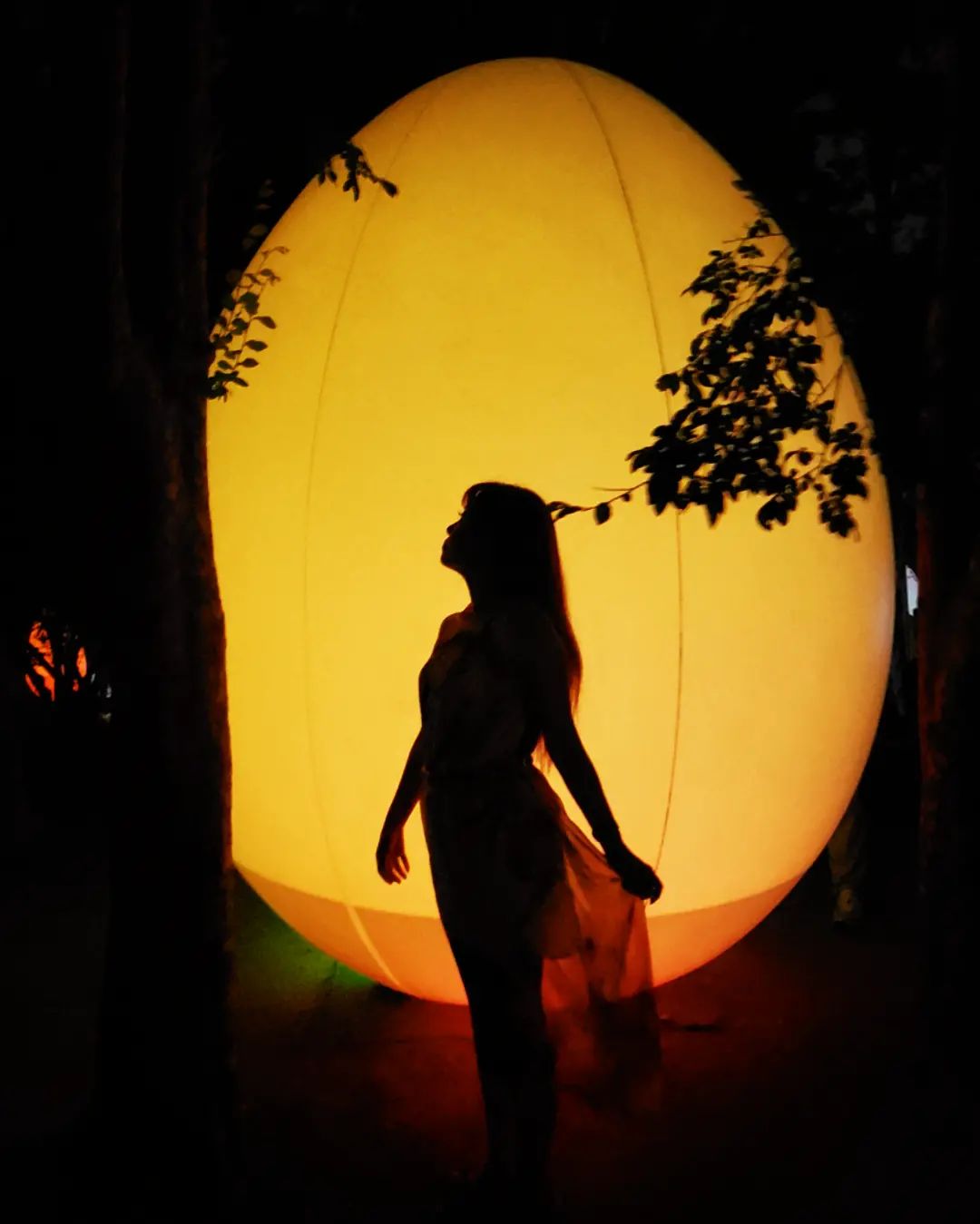 [Official] teamLab Botanical Garden Osaka | teamLab Night Open-Air Museum