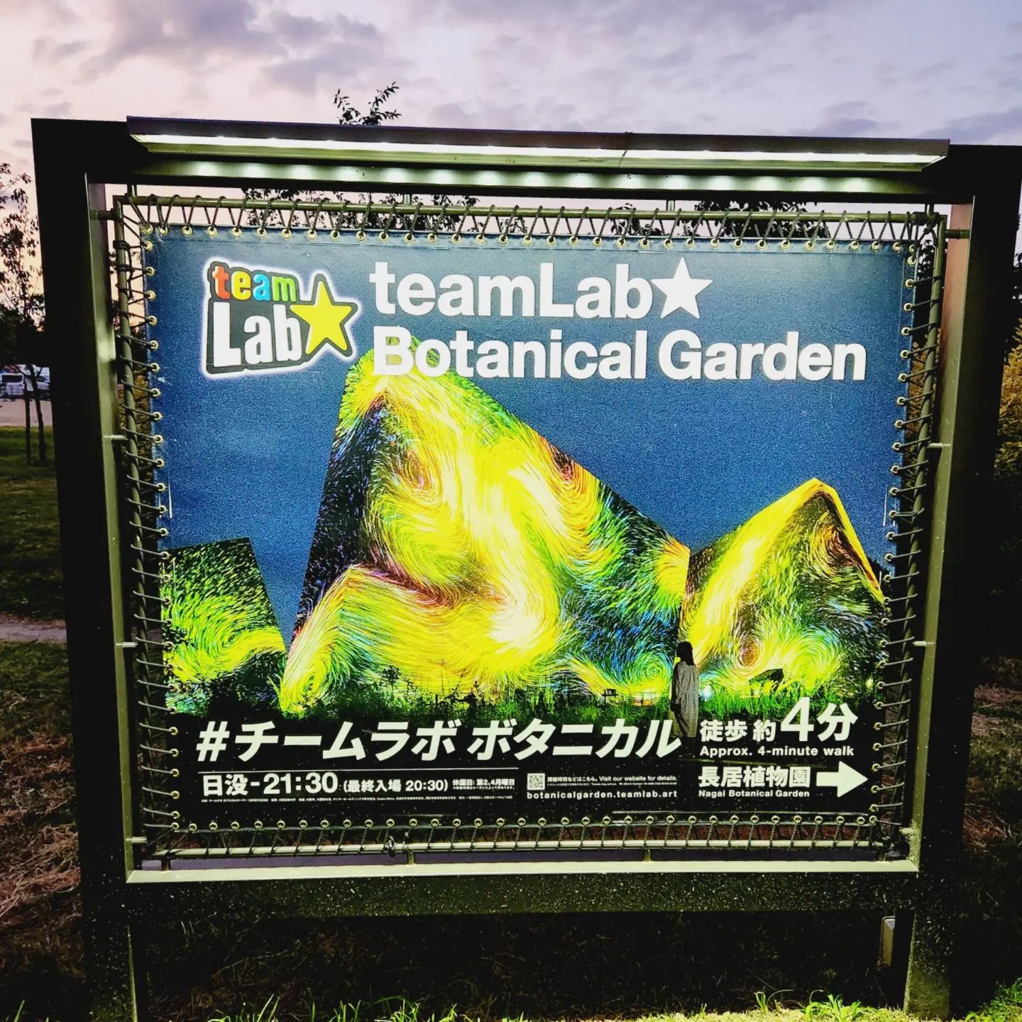 [Official] teamLab Botanical Garden Osaka | teamLab Night Open-Air Museum