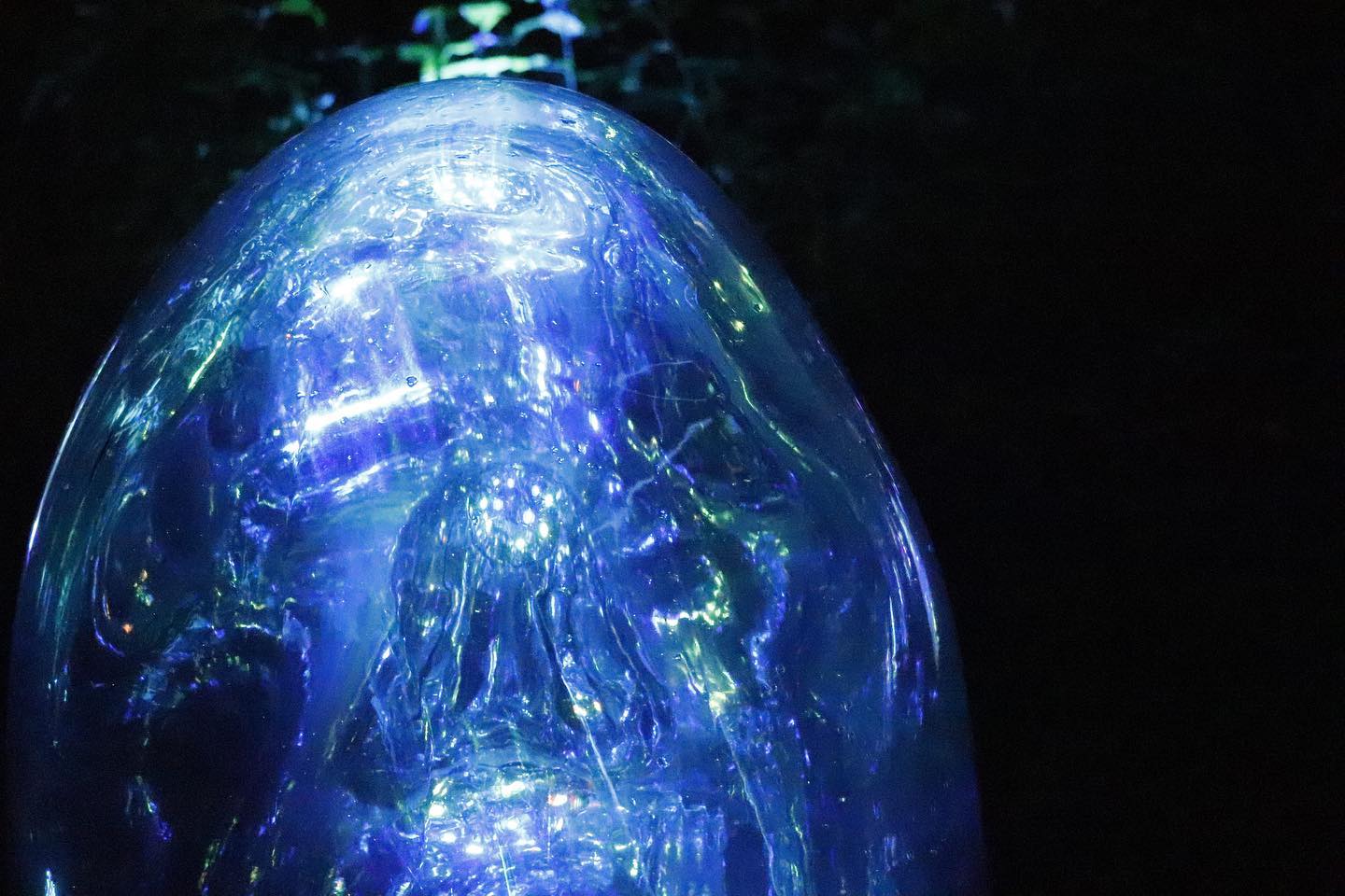 [Official] teamLab Botanical Garden Osaka | teamLab Night Open-Air Museum