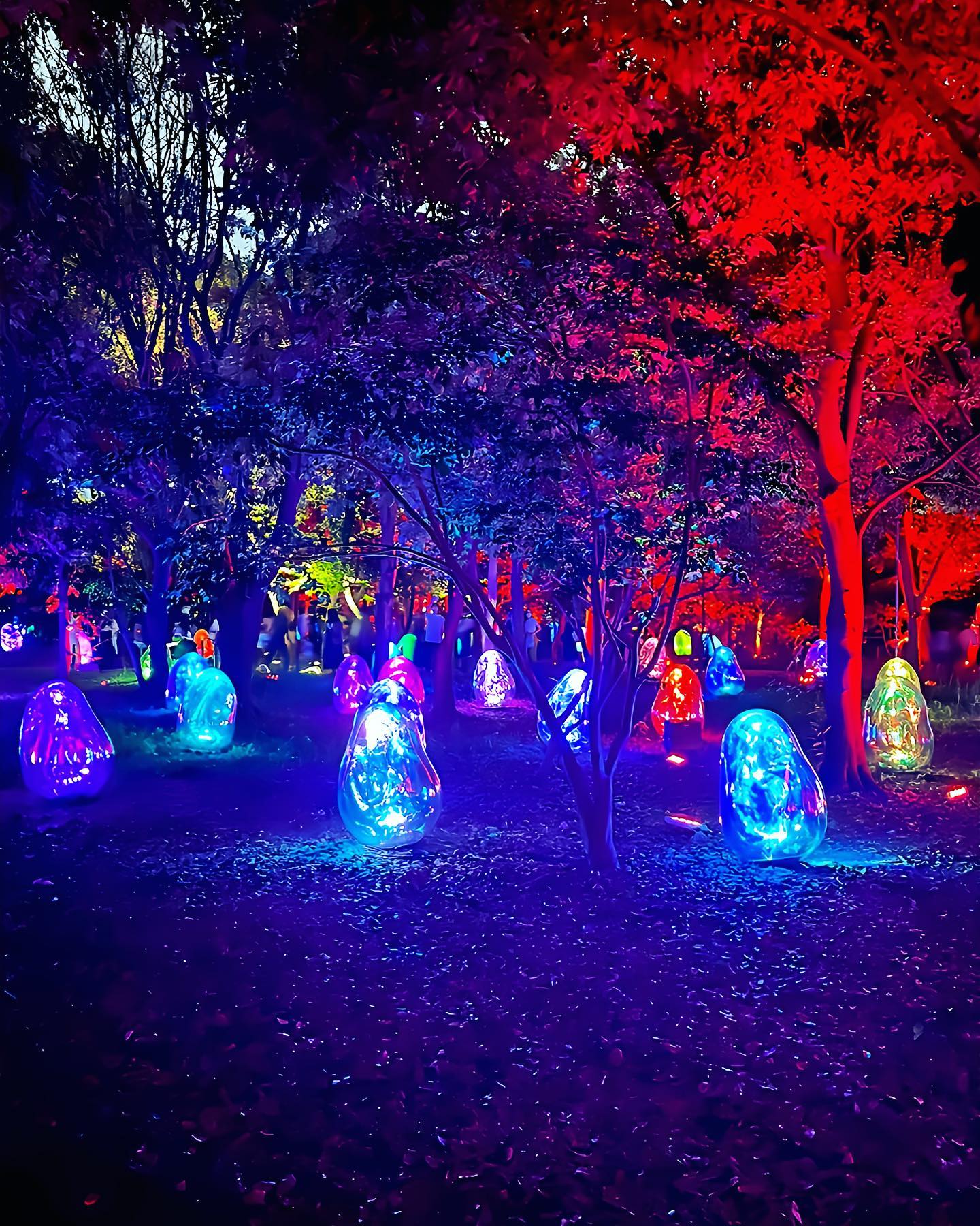 [Official] teamLab Botanical Garden Osaka | teamLab Night Open-Air Museum