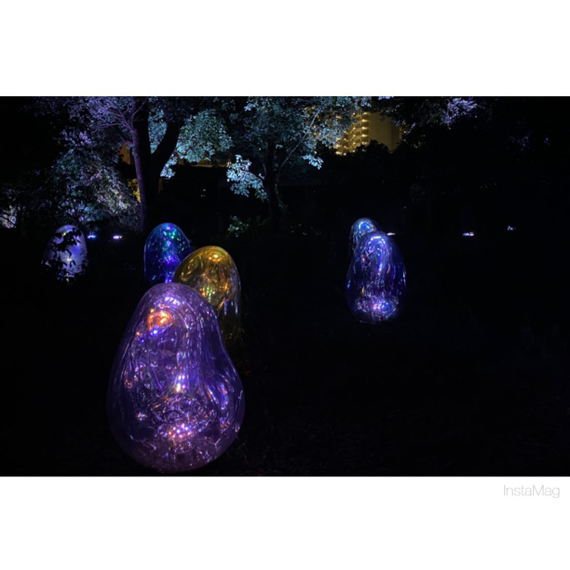 [Official] teamLab Botanical Garden Osaka | teamLab Night Open-Air Museum