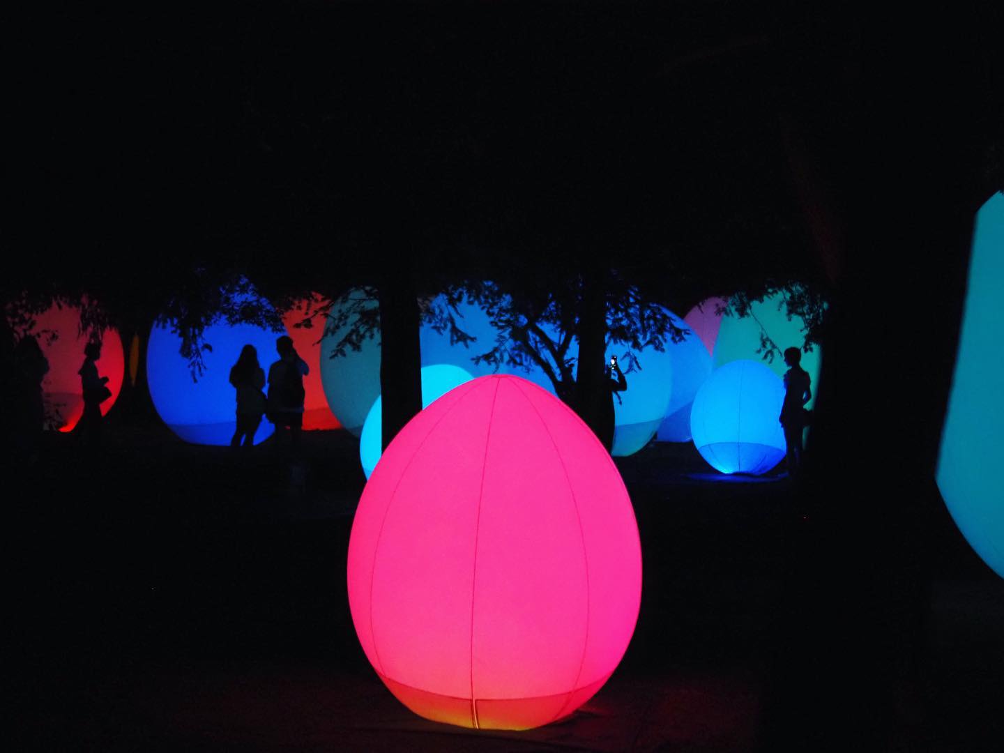 [Official] teamLab Botanical Garden Osaka | teamLab Night Open-Air Museum