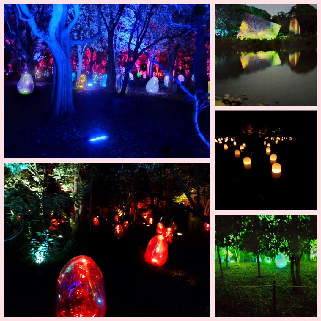 [Official] teamLab Botanical Garden Osaka | teamLab Night Open-Air Museum
