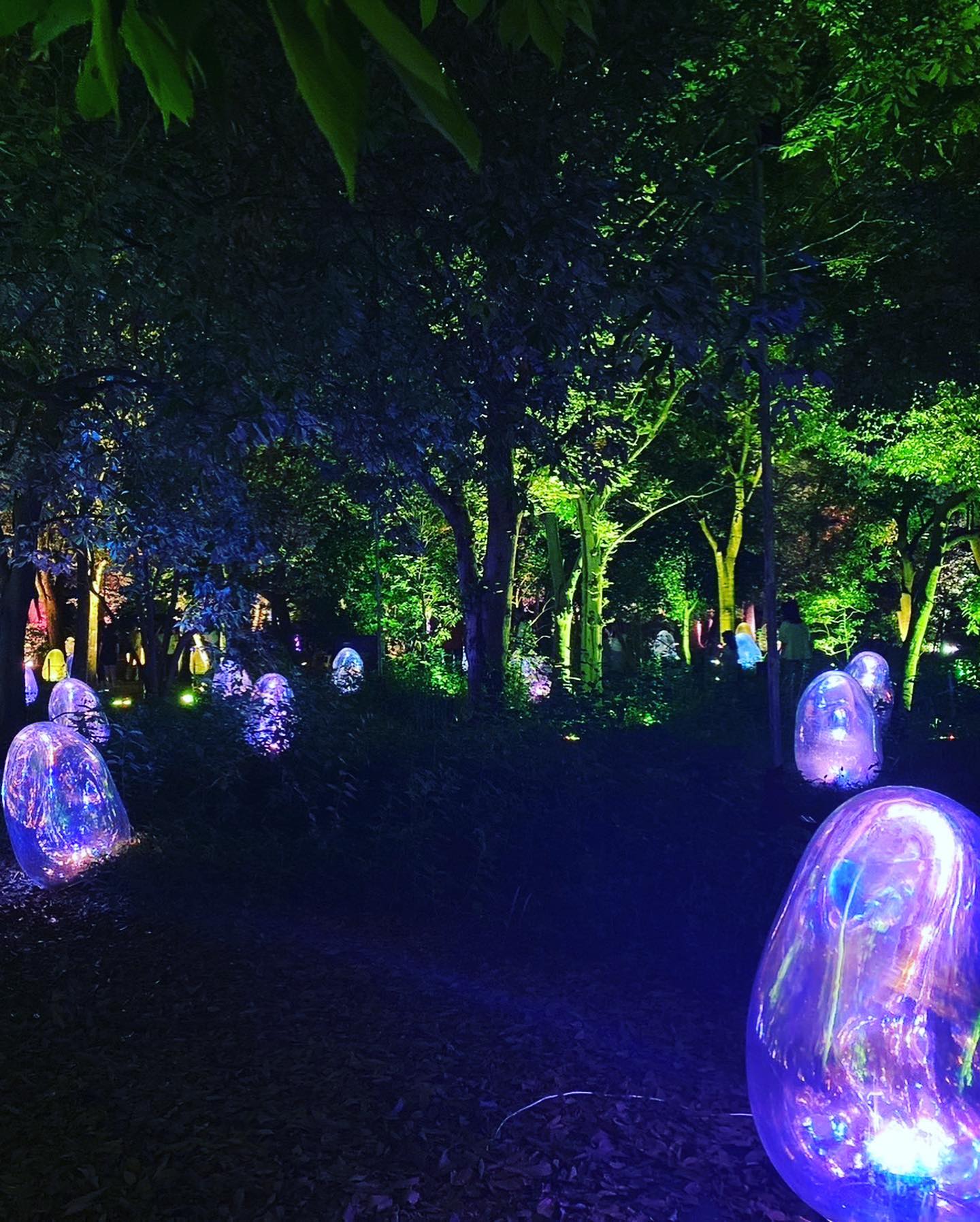 [Official] teamLab Botanical Garden Osaka | teamLab Night Open-Air Museum