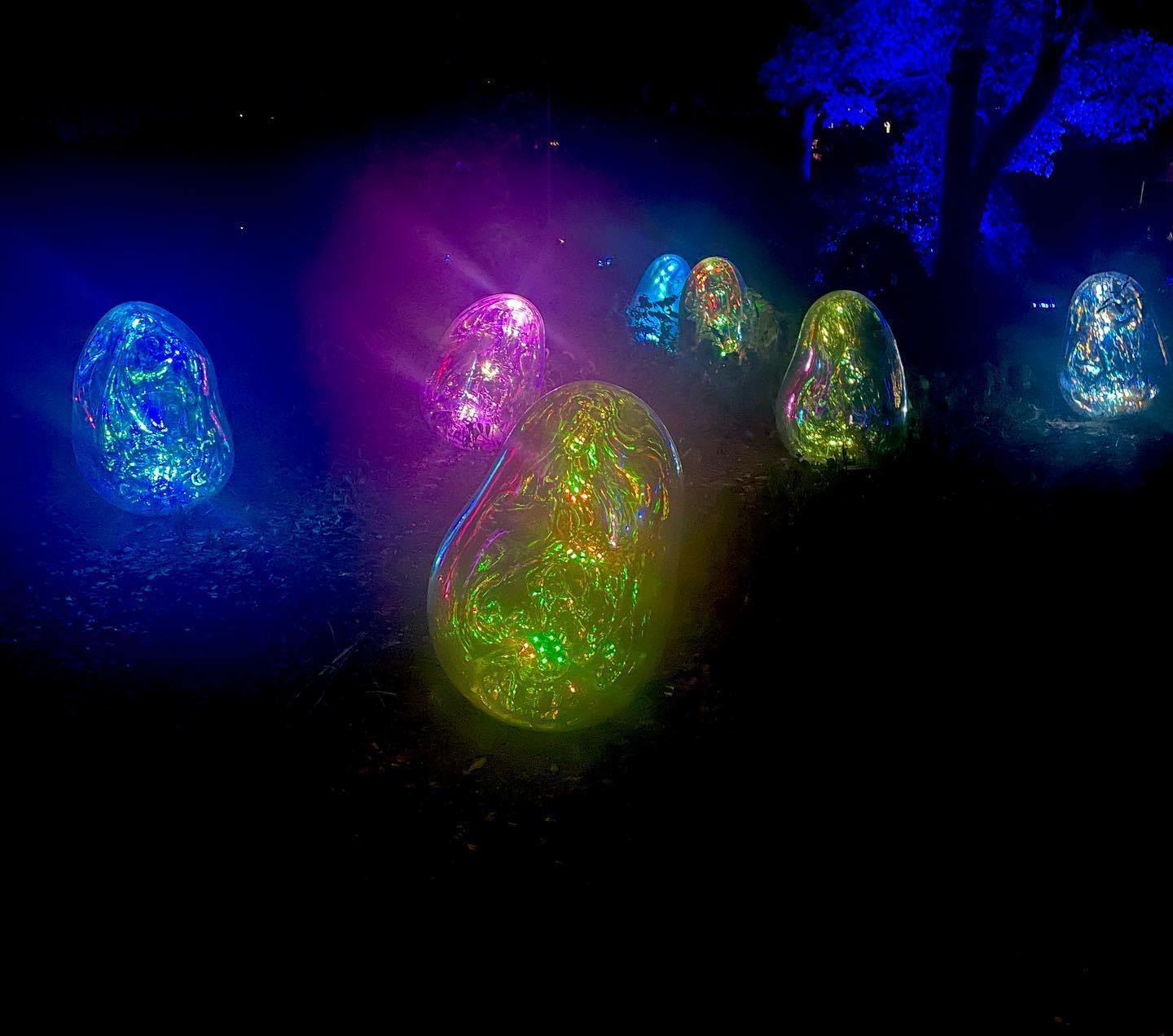 [Official] teamLab Botanical Garden Osaka | teamLab Night Open-Air Museum