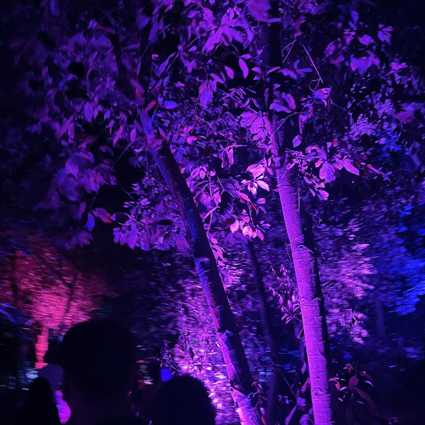 [Official] teamLab Botanical Garden Osaka | teamLab Night Open-Air Museum