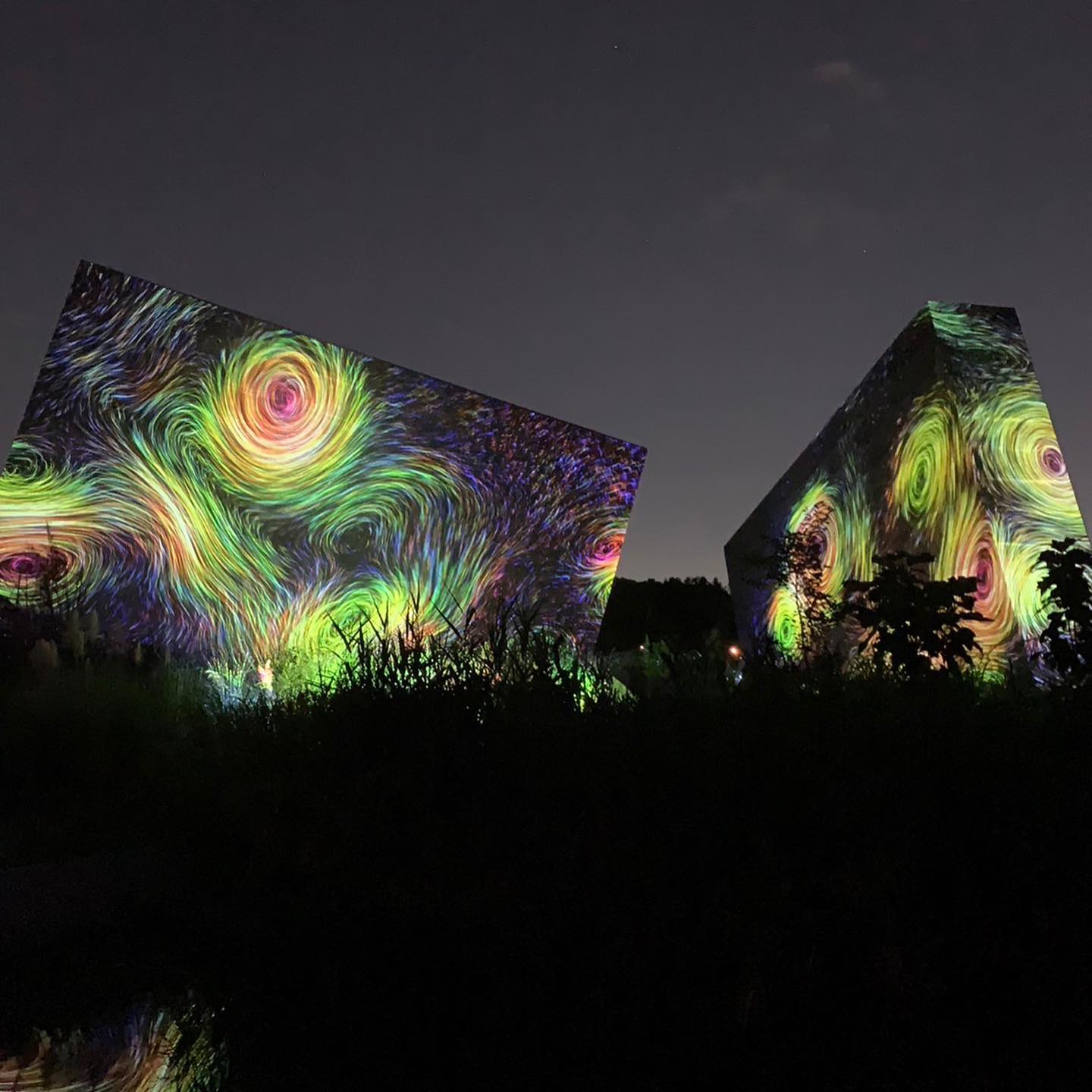 [Official] teamLab Botanical Garden Osaka | teamLab Night Open-Air Museum