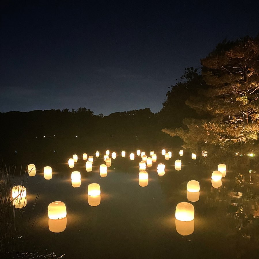 [Official] teamLab Botanical Garden Osaka | teamLab Night Open-Air Museum
