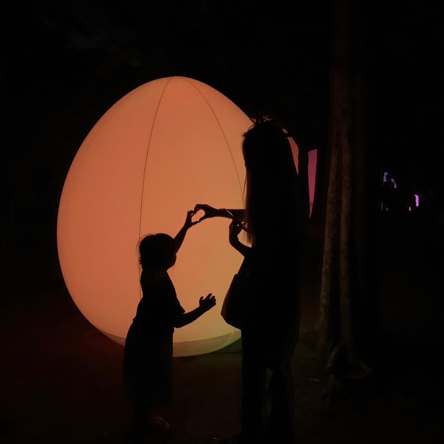 [Official] teamLab Botanical Garden Osaka | teamLab Night Open-Air Museum