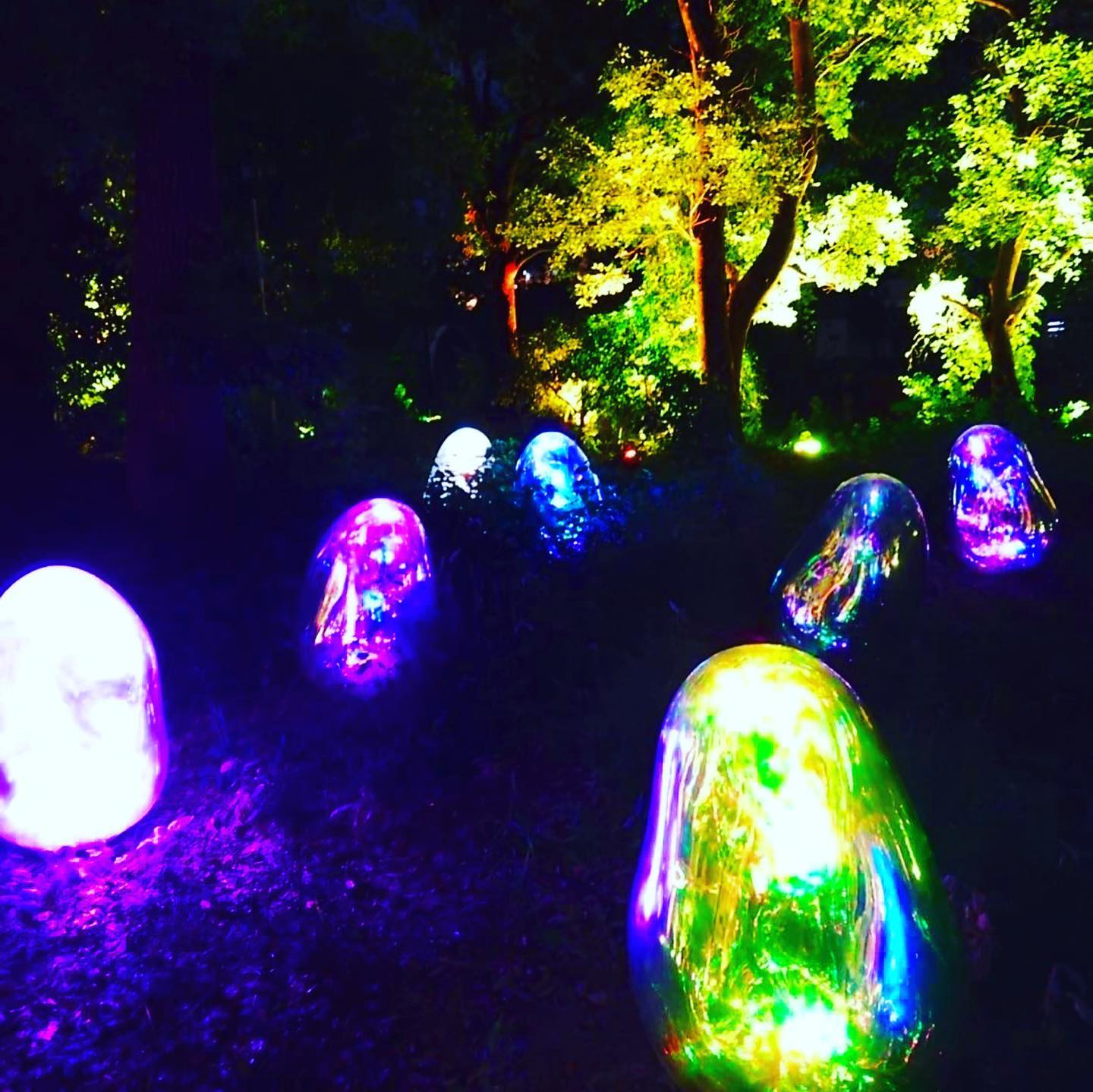 [Official] teamLab Botanical Garden Osaka | teamLab Night Open-Air Museum