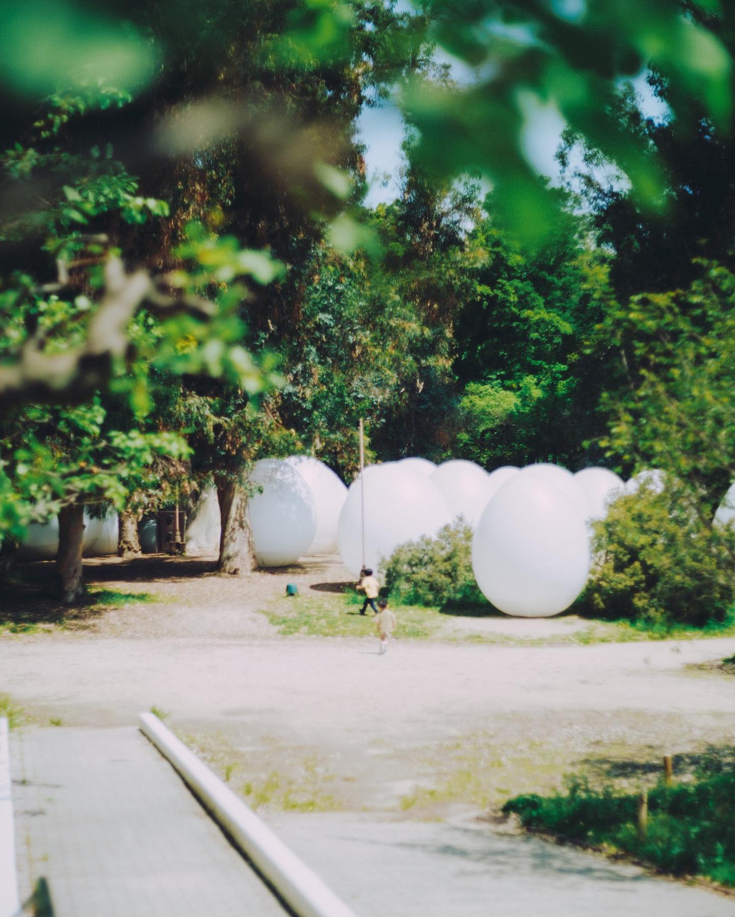 [Official] teamLab Botanical Garden Osaka | teamLab Night Open-Air Museum