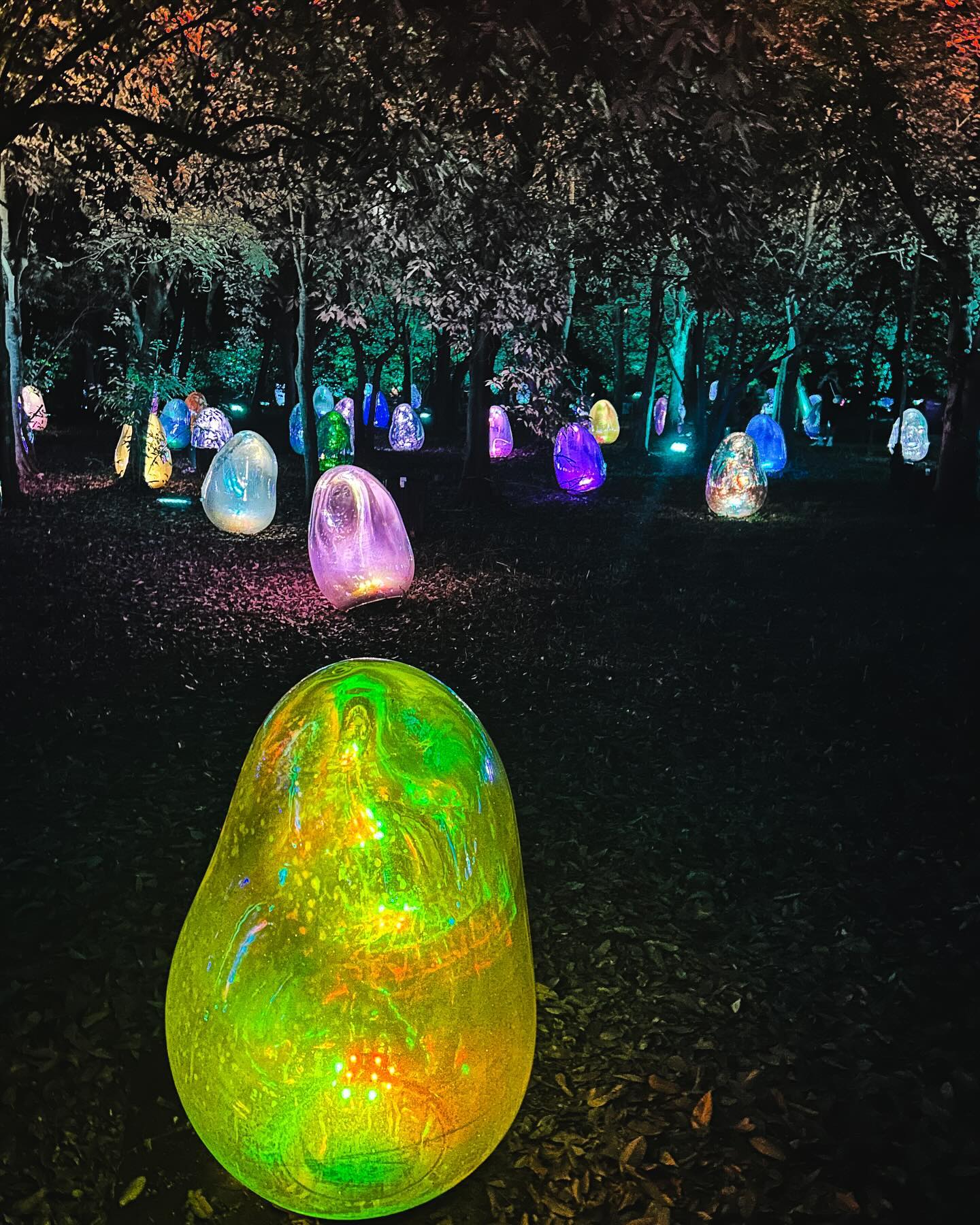 [Official] teamLab Botanical Garden Osaka | teamLab Night Open-Air Museum