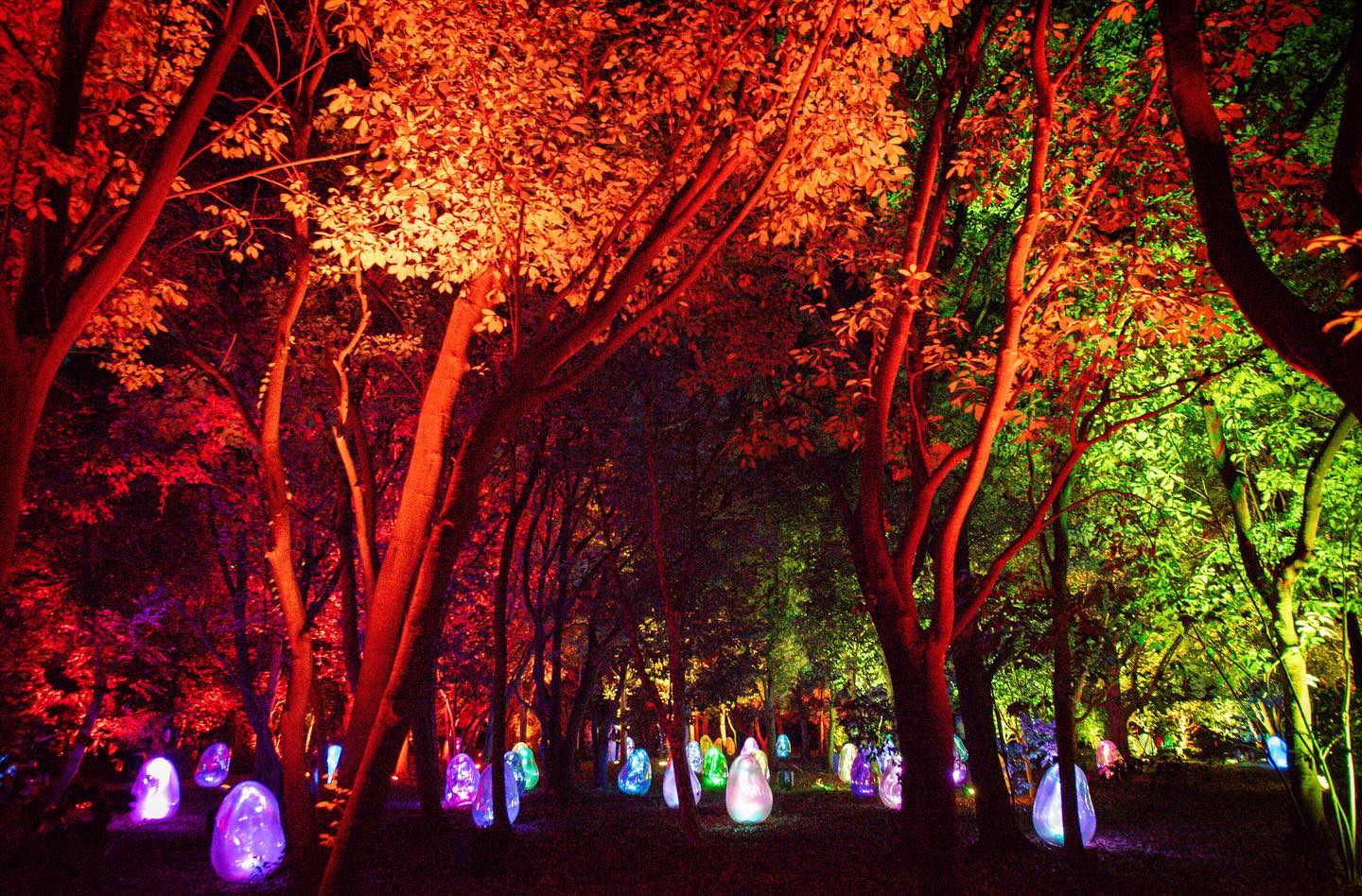 [Official] teamLab Botanical Garden Osaka | teamLab Night Open-Air Museum