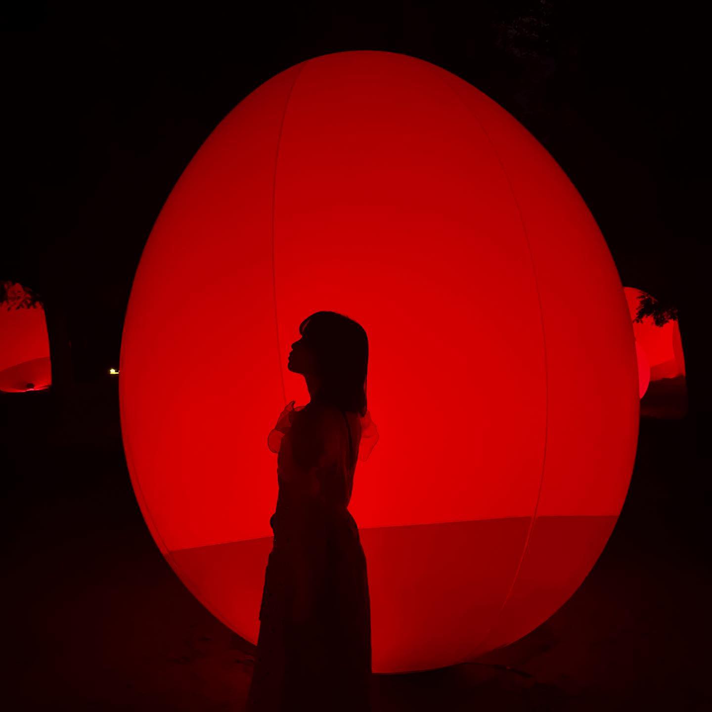 [Official] teamLab Botanical Garden Osaka | teamLab Night Open-Air Museum