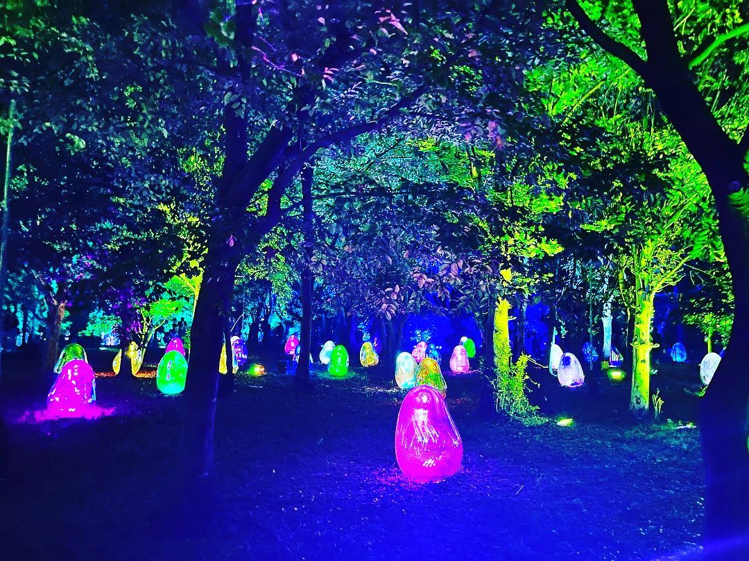 [Official] teamLab Botanical Garden Osaka | teamLab Night Open-Air Museum