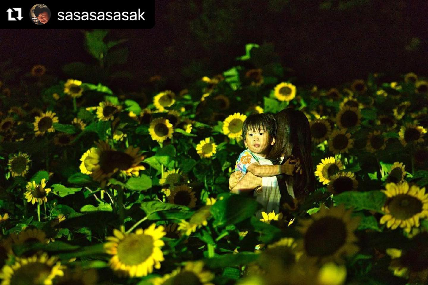 [Official] teamLab Botanical Garden Osaka | teamLab Night Open-Air Museum